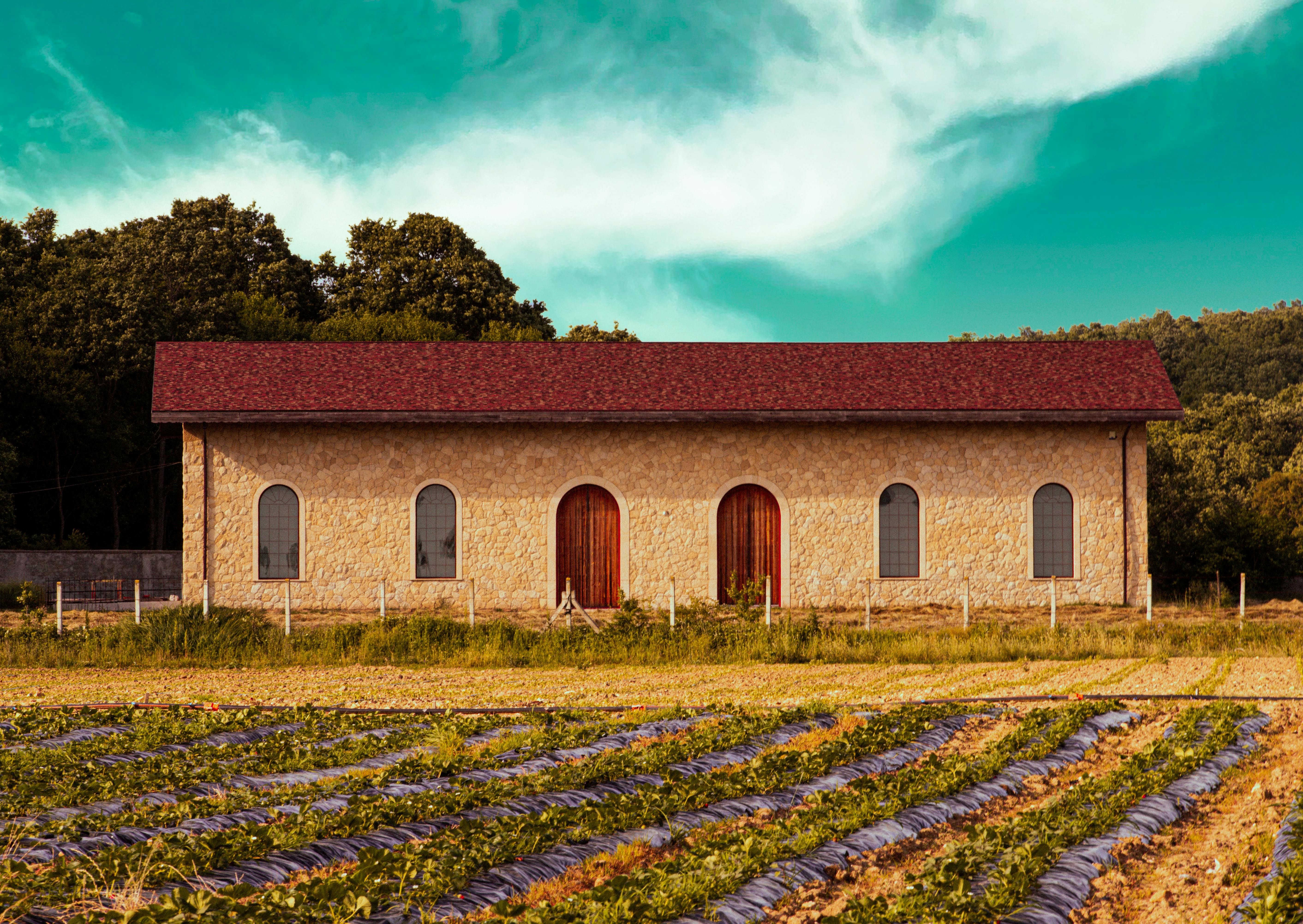 Field and Farmhouse · Free Stock Photo