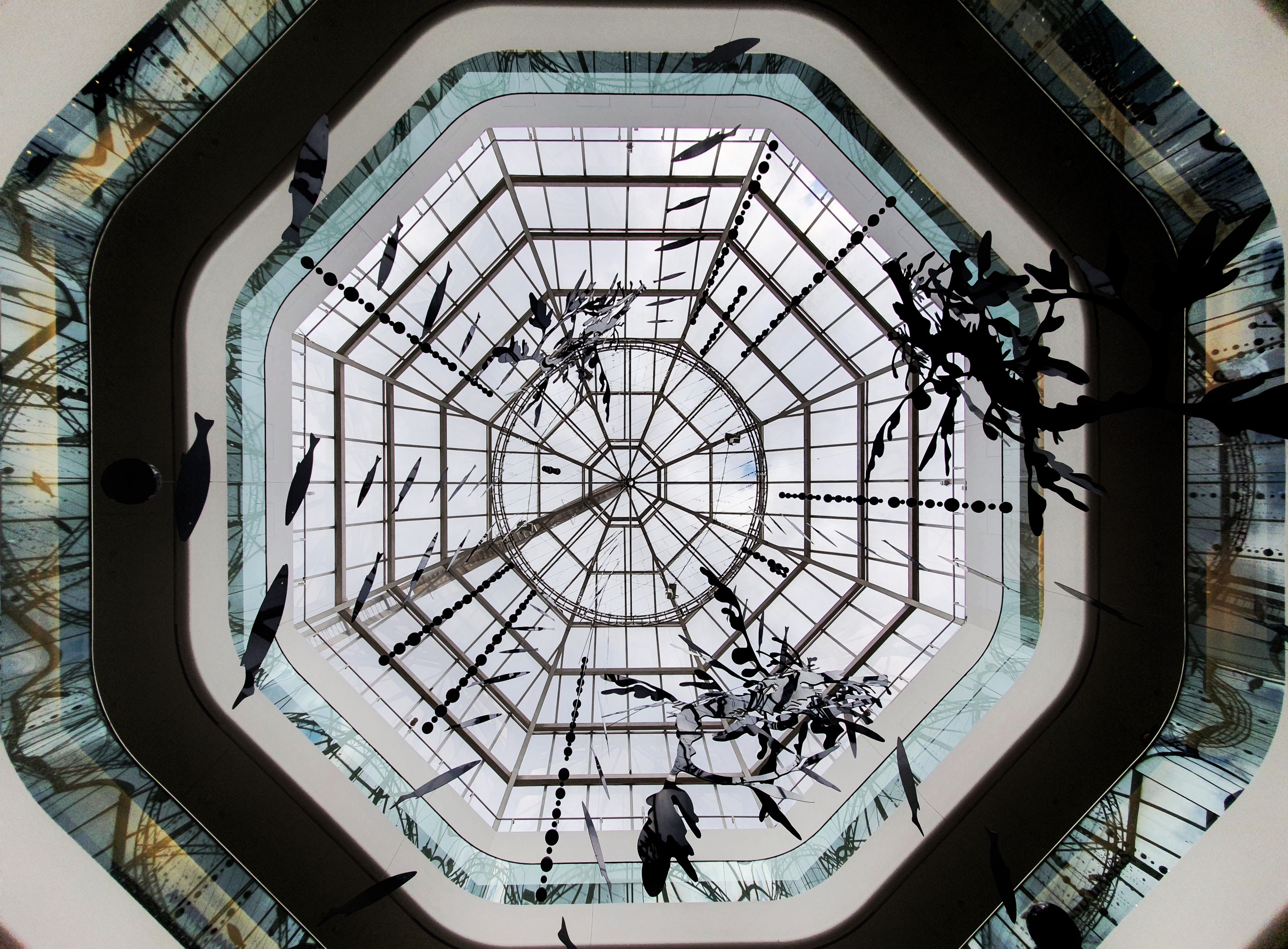 Low Angle Shot of a Glass Ceiling · Free Stock Photo