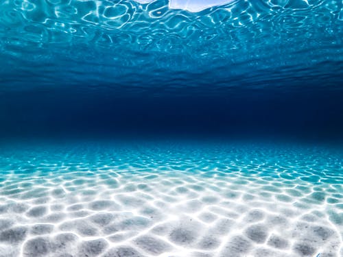Underwater Photography of Clear Water · Free Stock Photo Underwater Photography of Clear Water · Free Stock Photo