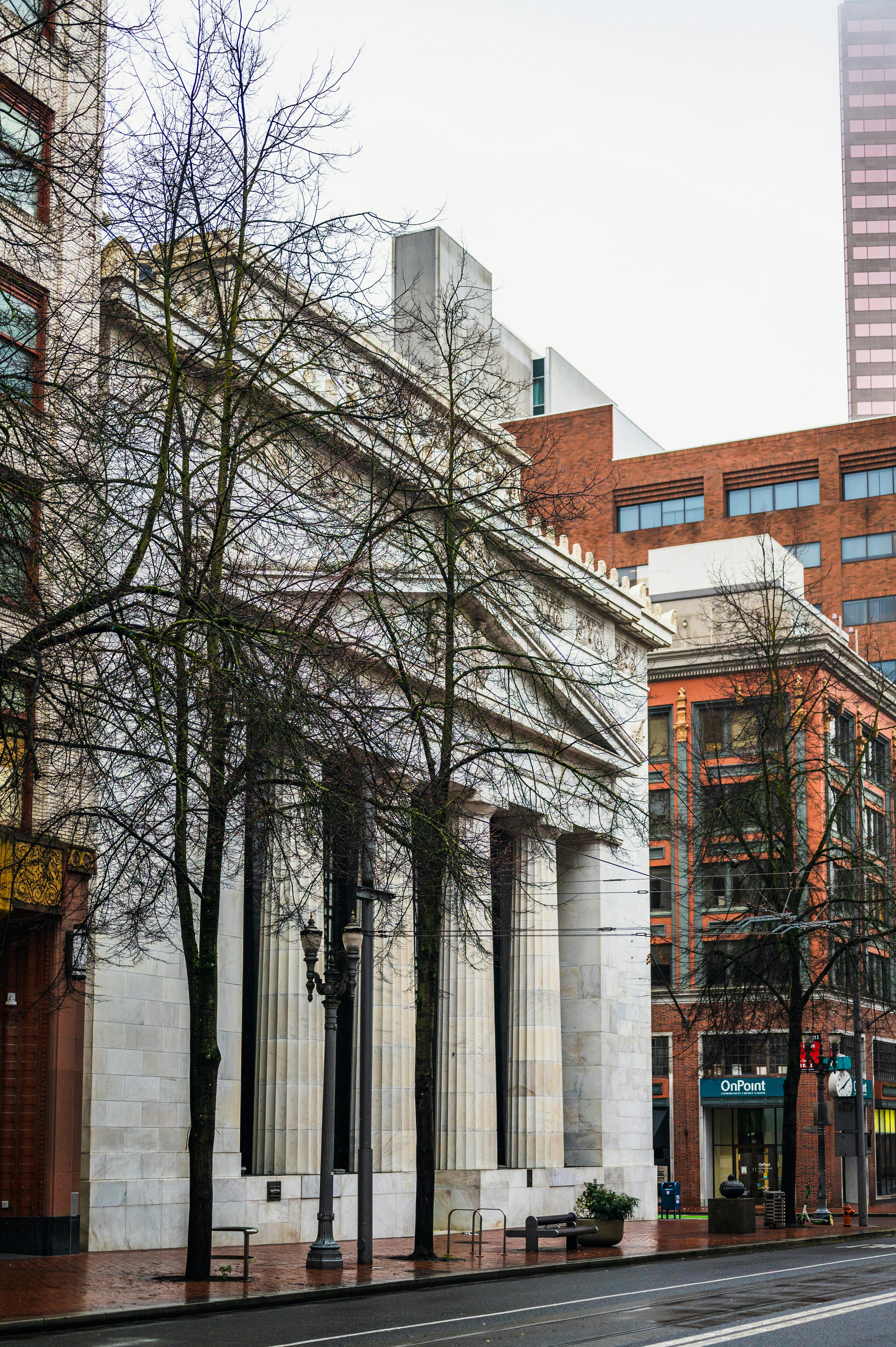 Bare Trees in Front of Brown Building · Free Stock Photo