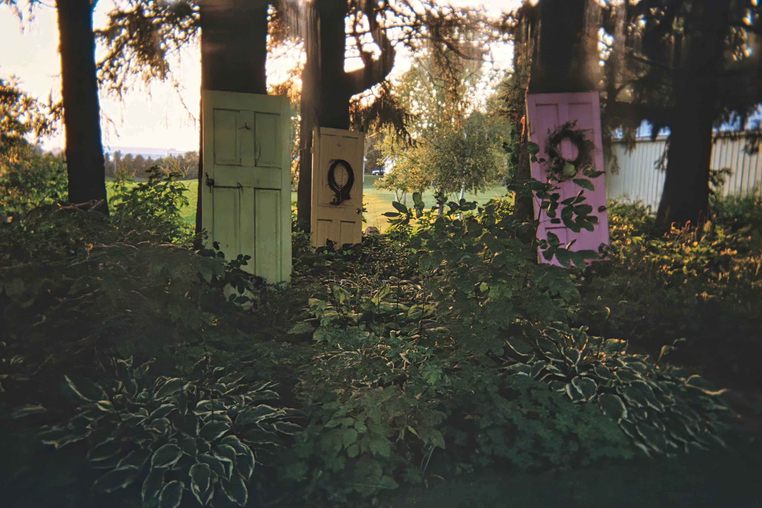 Wooden Doors on Tree Trunks · Free Stock Photo