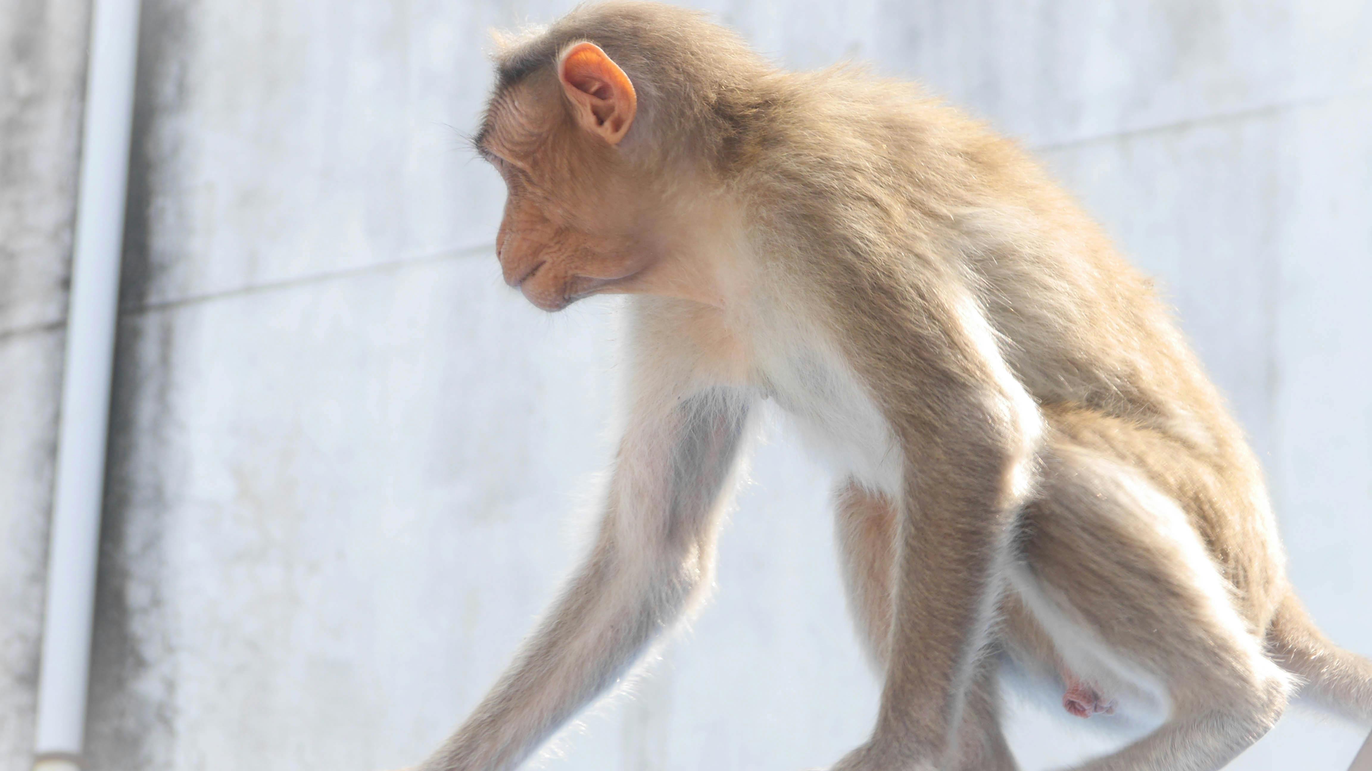 samuel - Photography