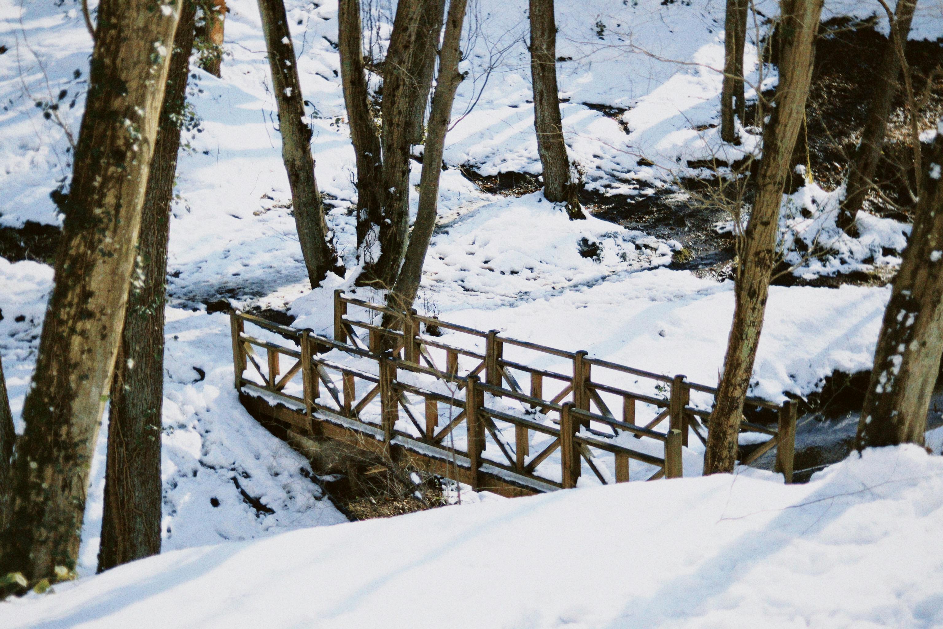 Wooden Bridge Covered with Snow · Free Stock Photo