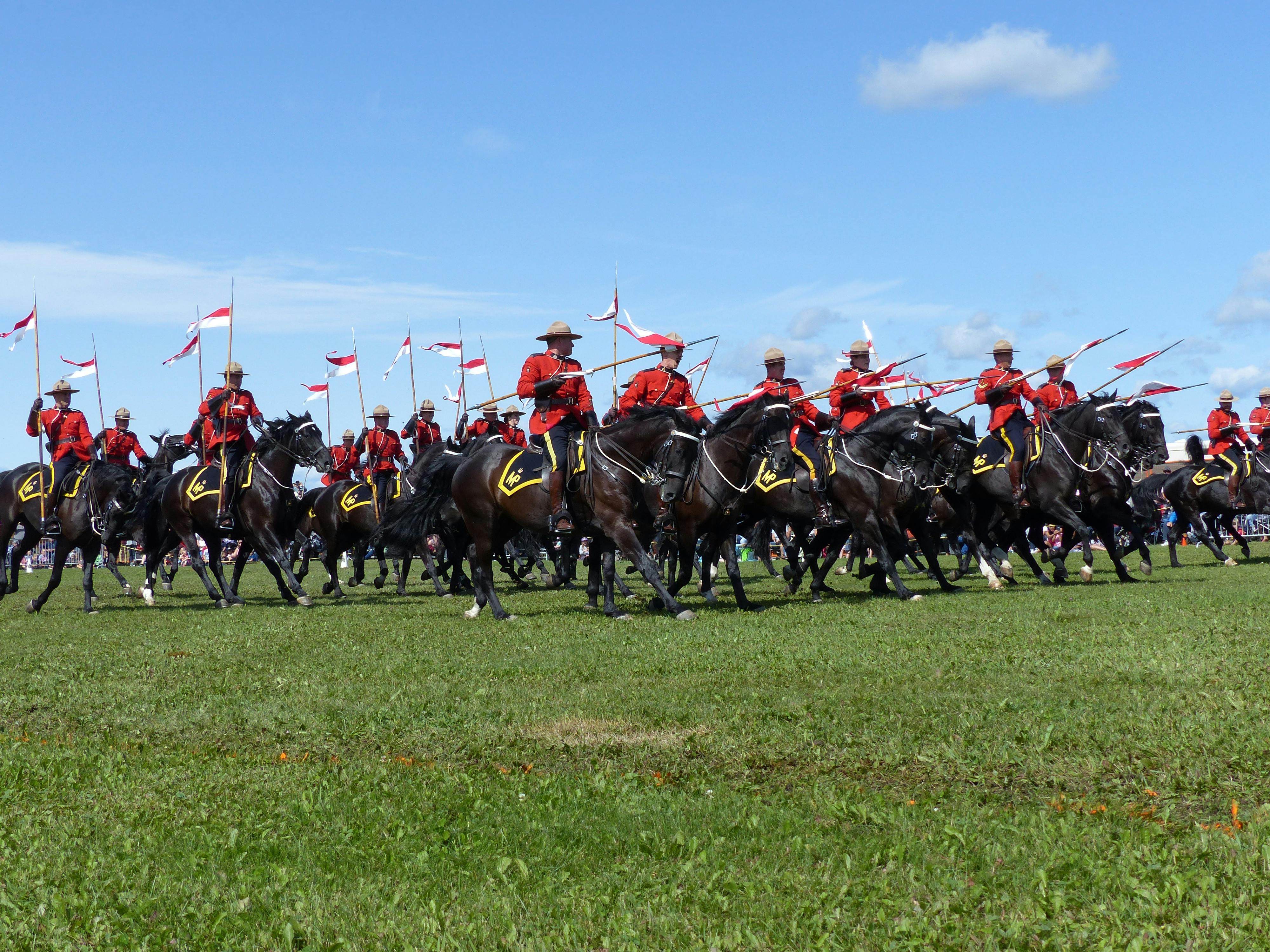 A Group of People Riding a Horse on a Green Grass Field · Free Stock Photo