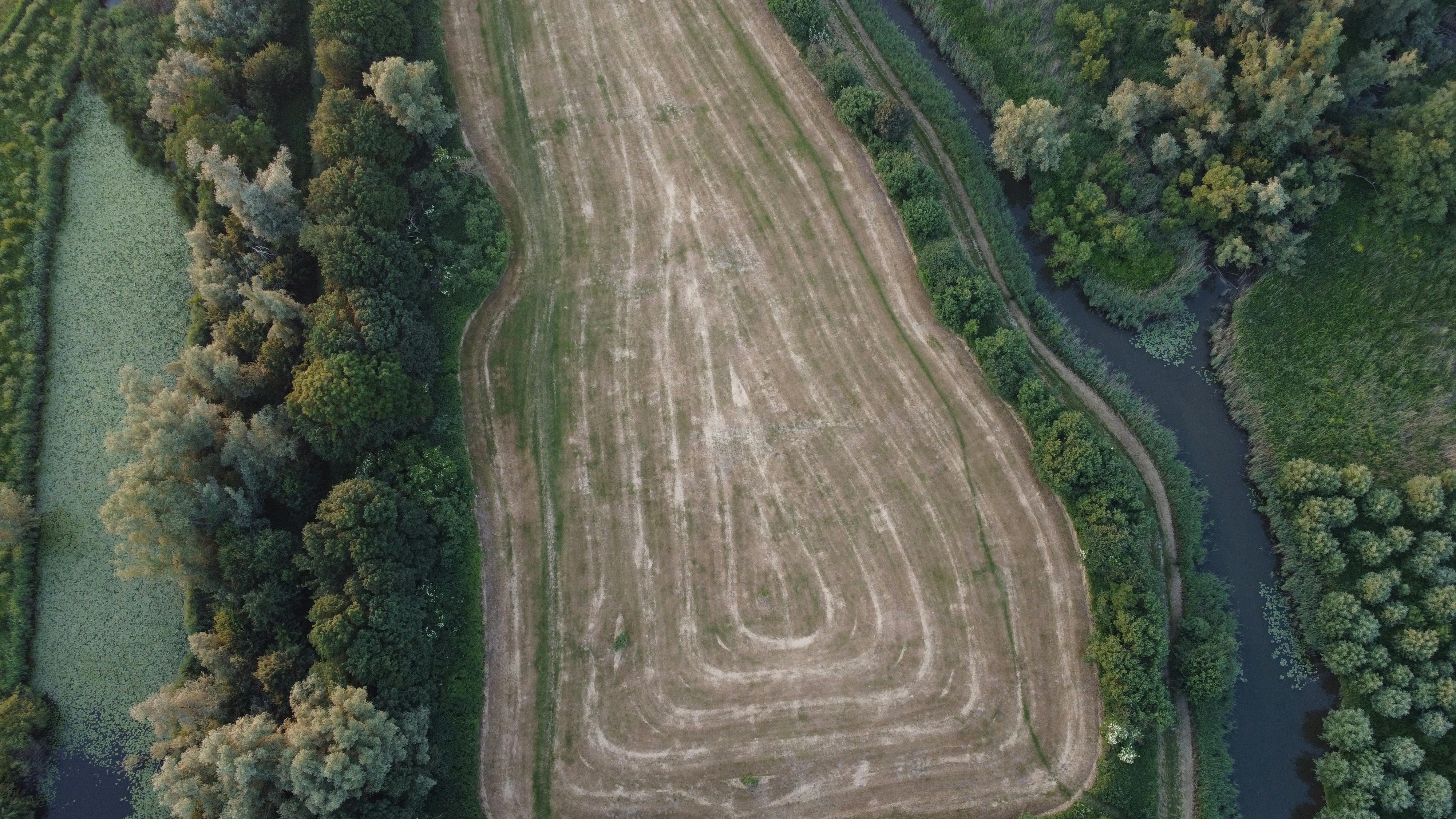 Aerial Photography of Mowed Farmland and Forest Trees · Free Stock Photo
