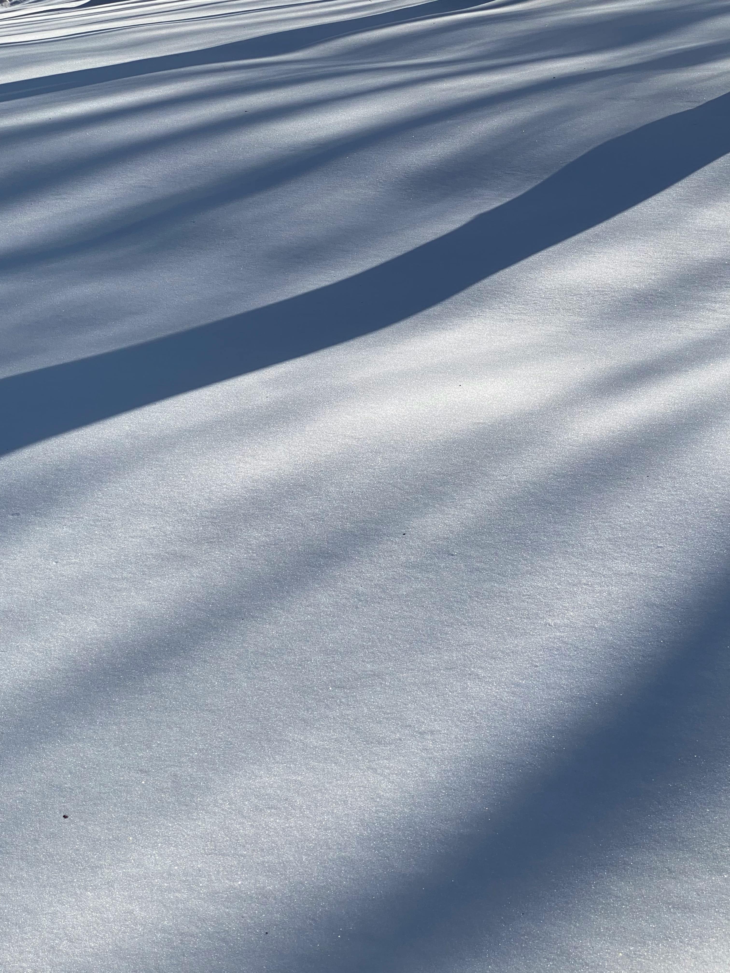 Shadow on Snow · Free Stock Photo