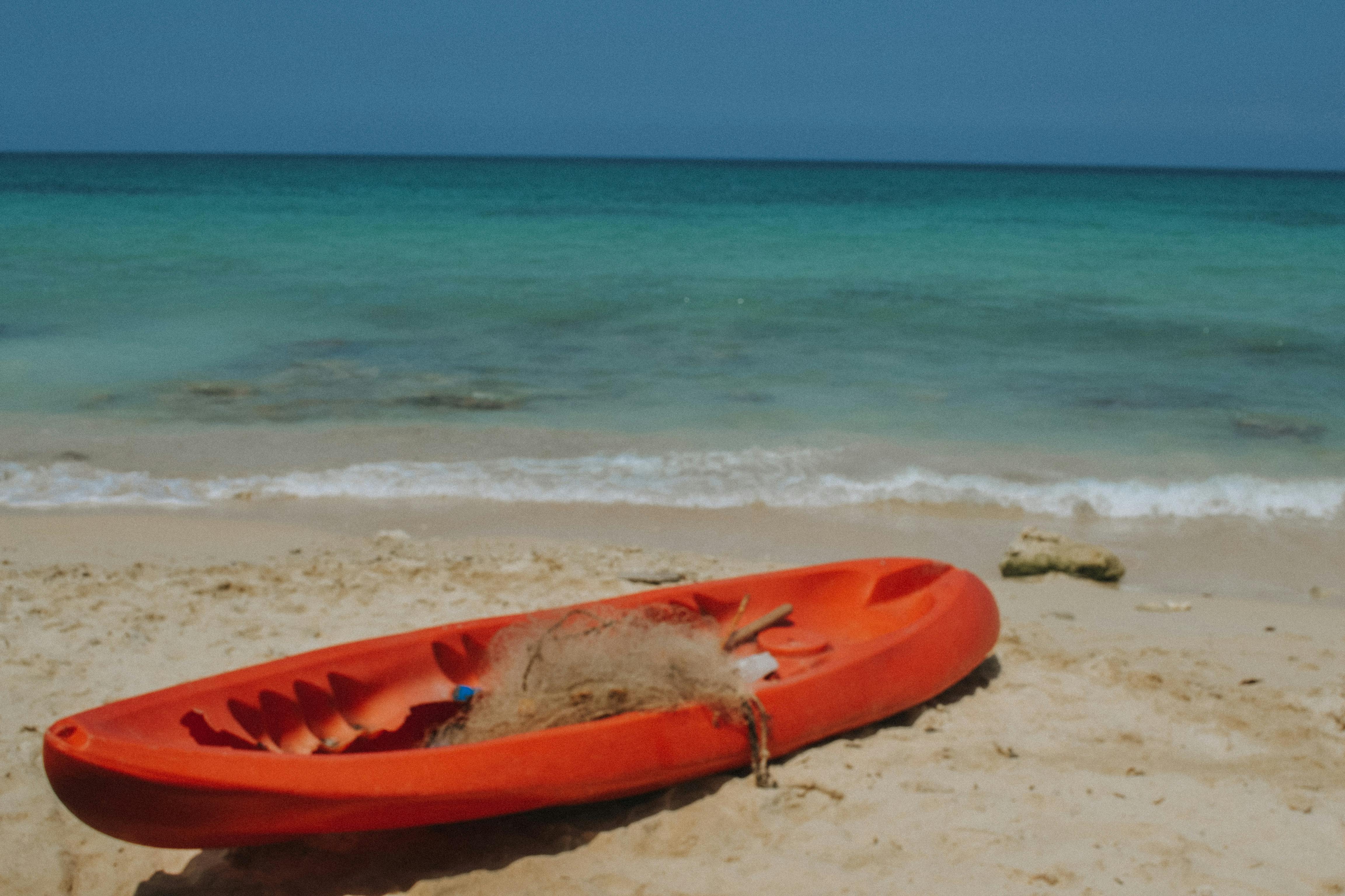 Maria Clara Tanner - 사진