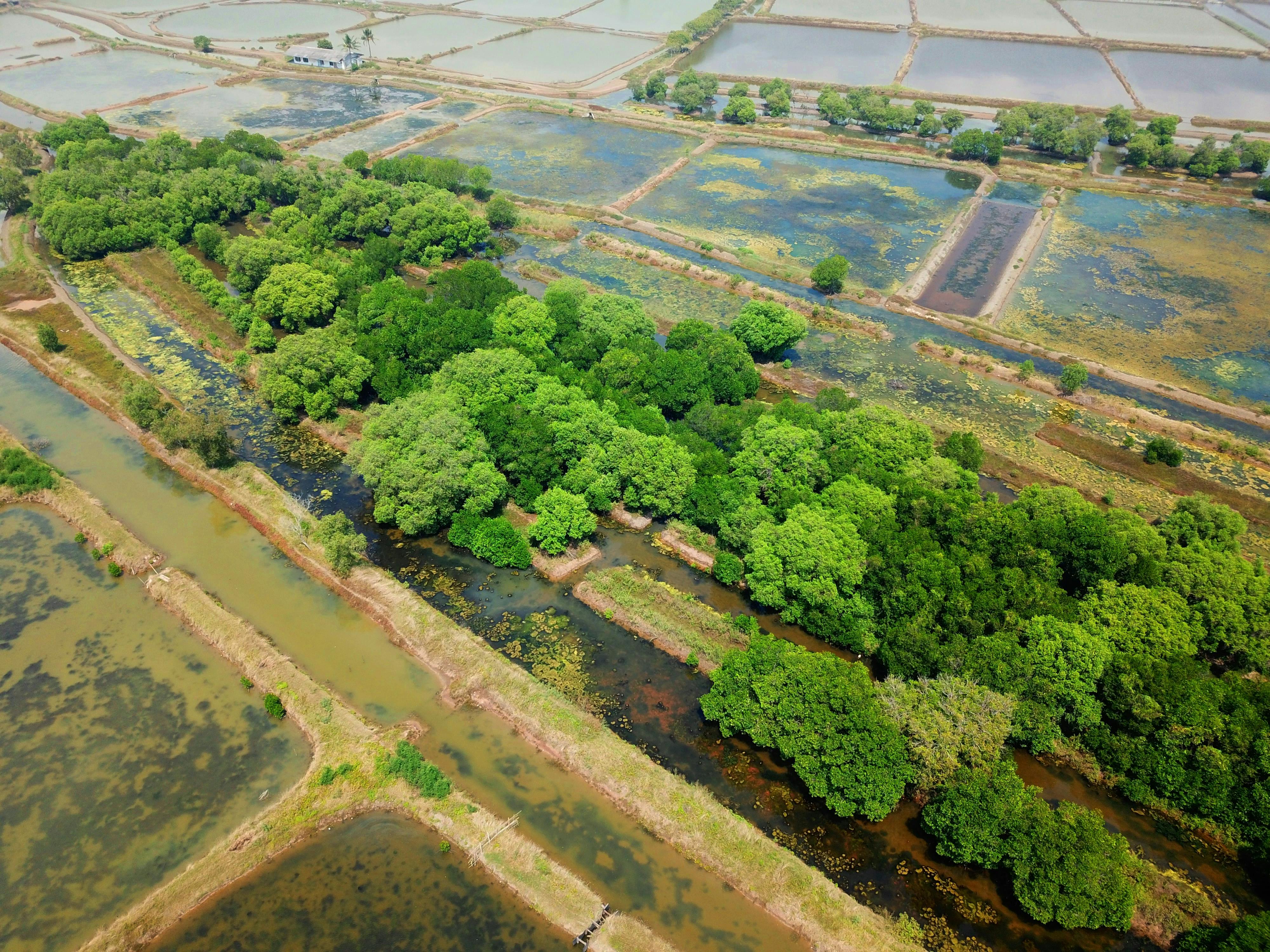 Free stock photo of aquaculture, birds eye view, drone