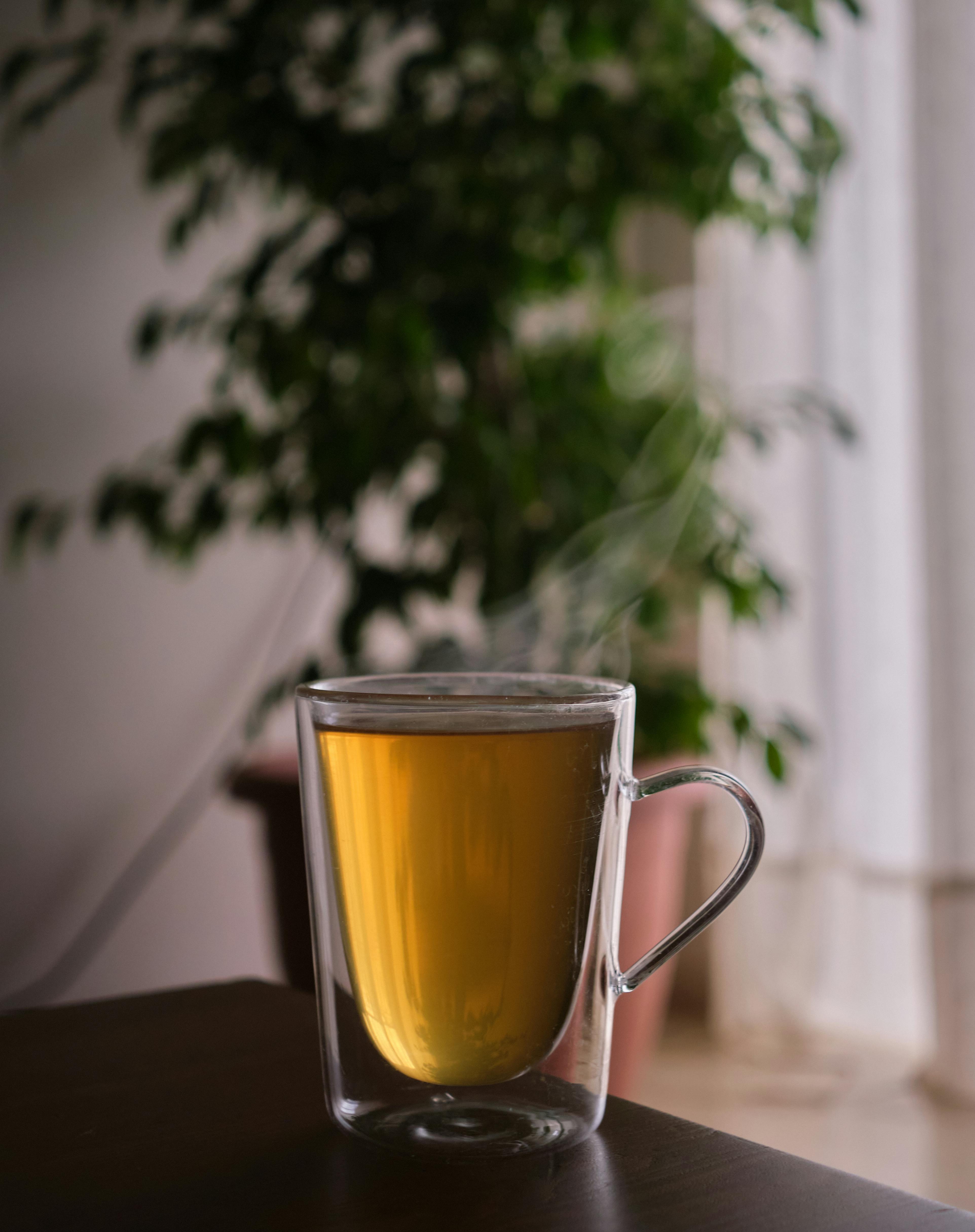 A Glass of Hot Tea · Free Stock Photo