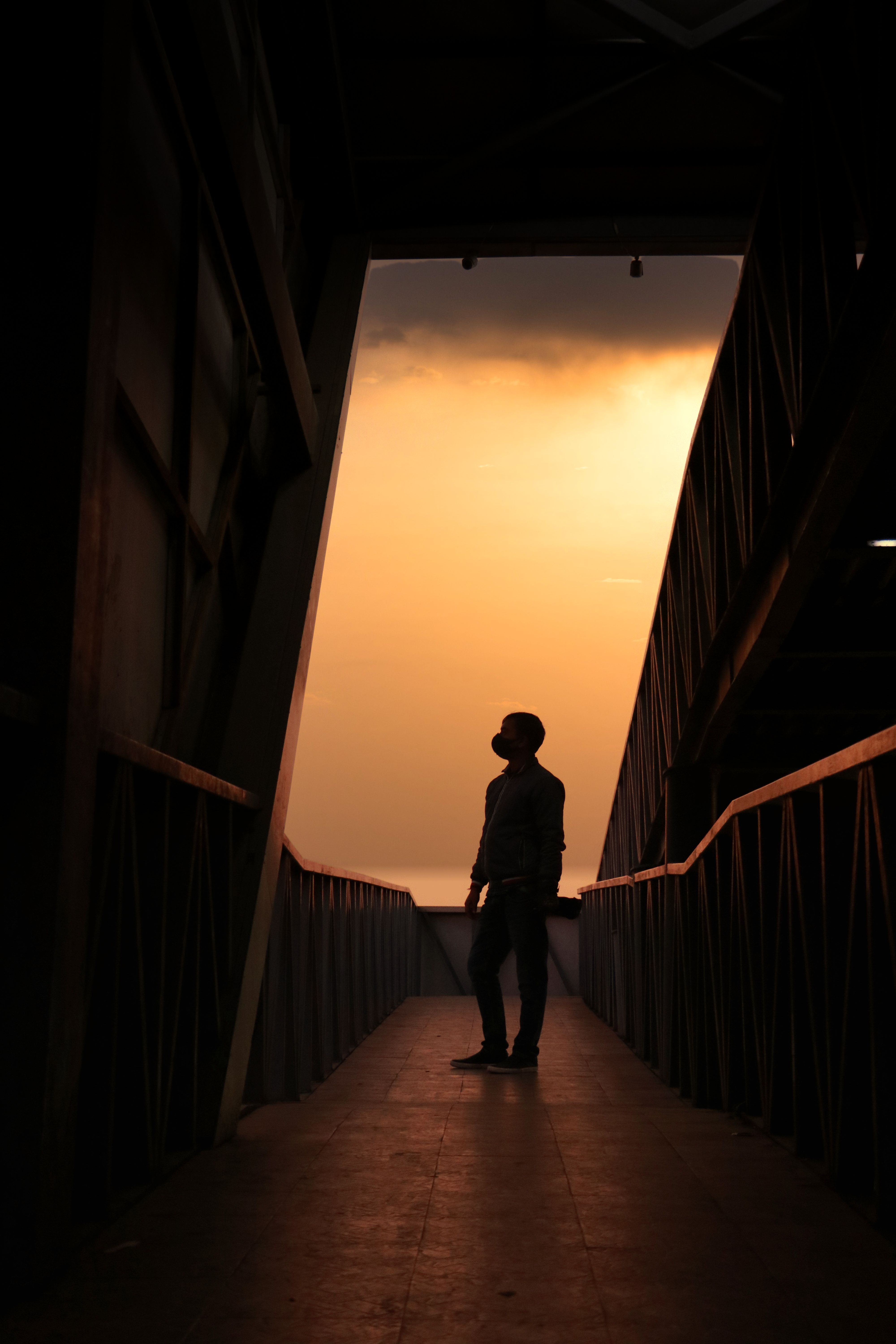 Silhouette of a Standing Man · Free Stock Photo