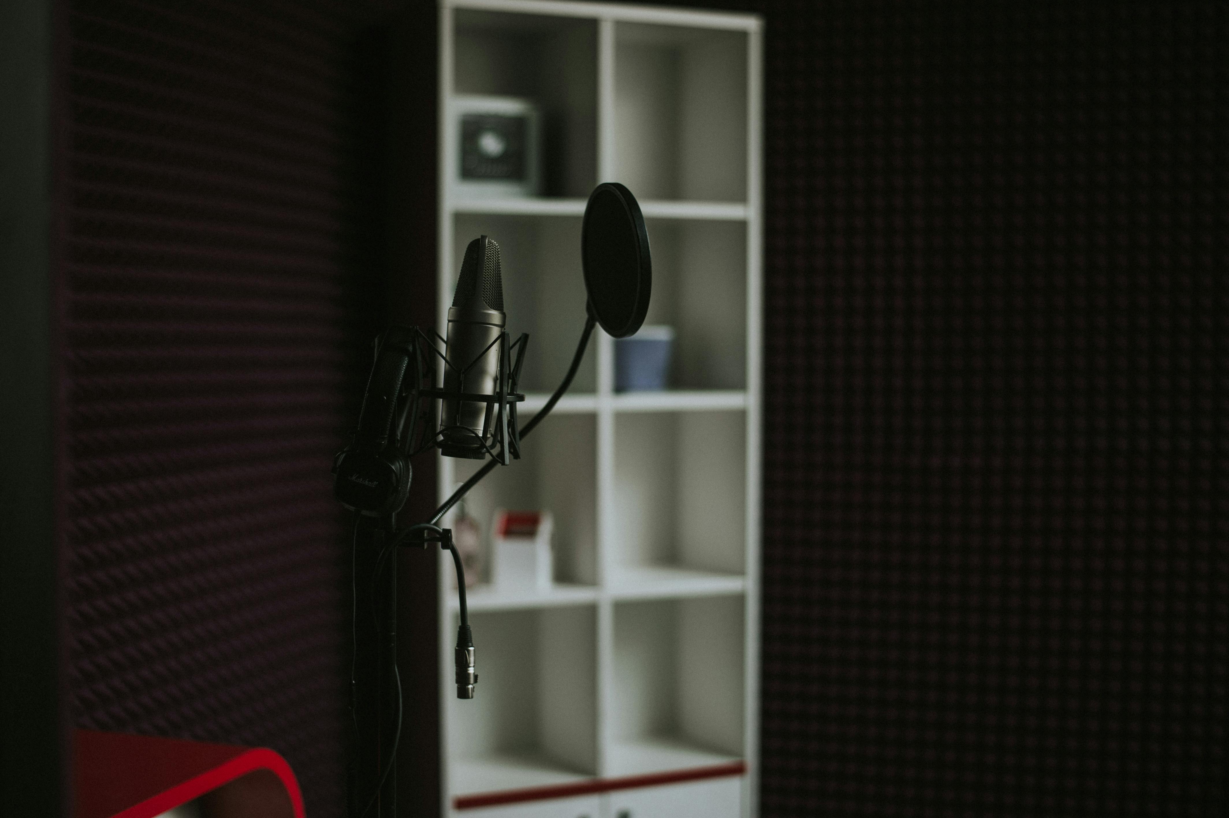 Black Microphone on a Stand · Free Stock Photo