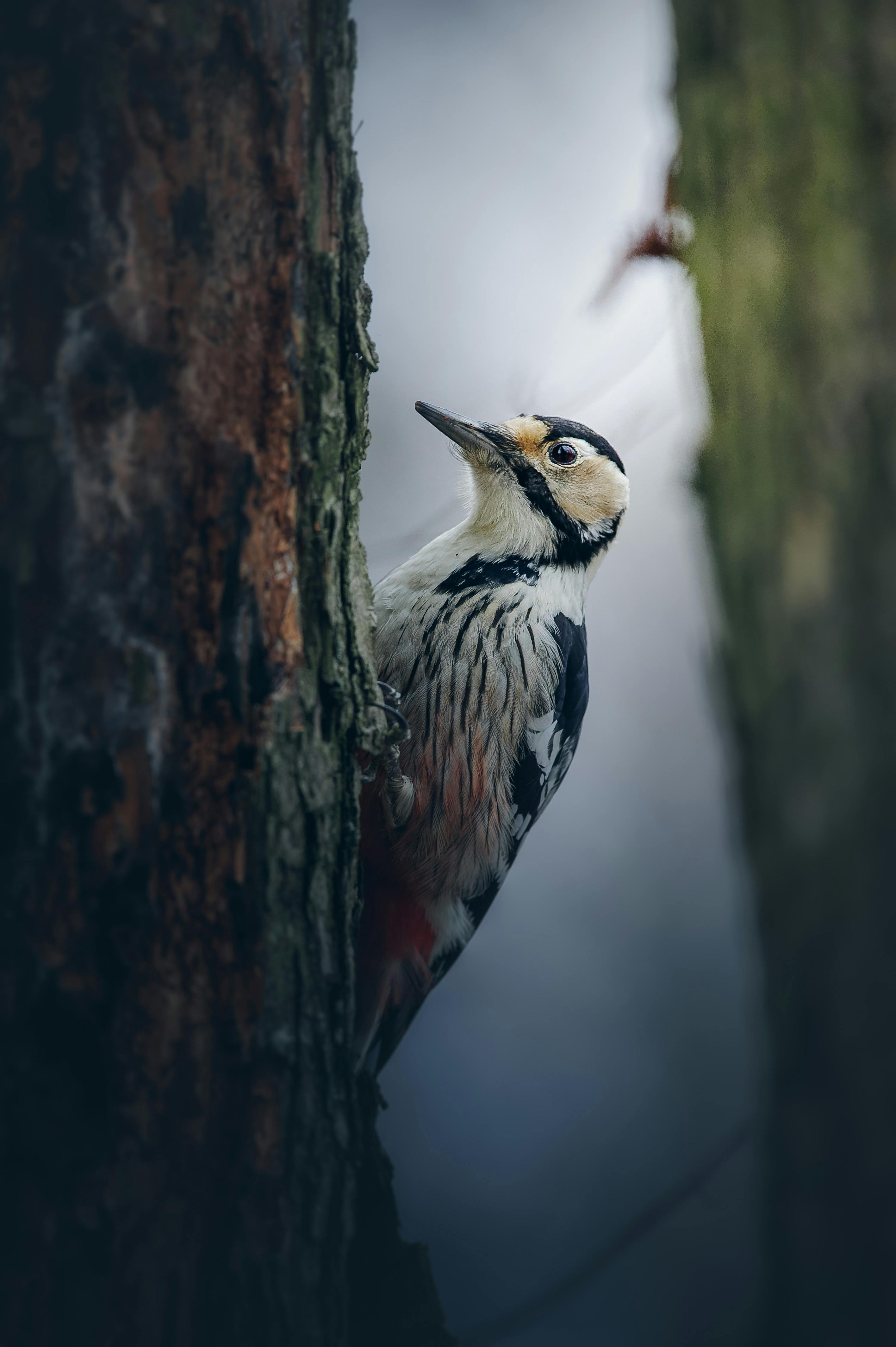 Worms Climbing on String · Free Stock Photo
