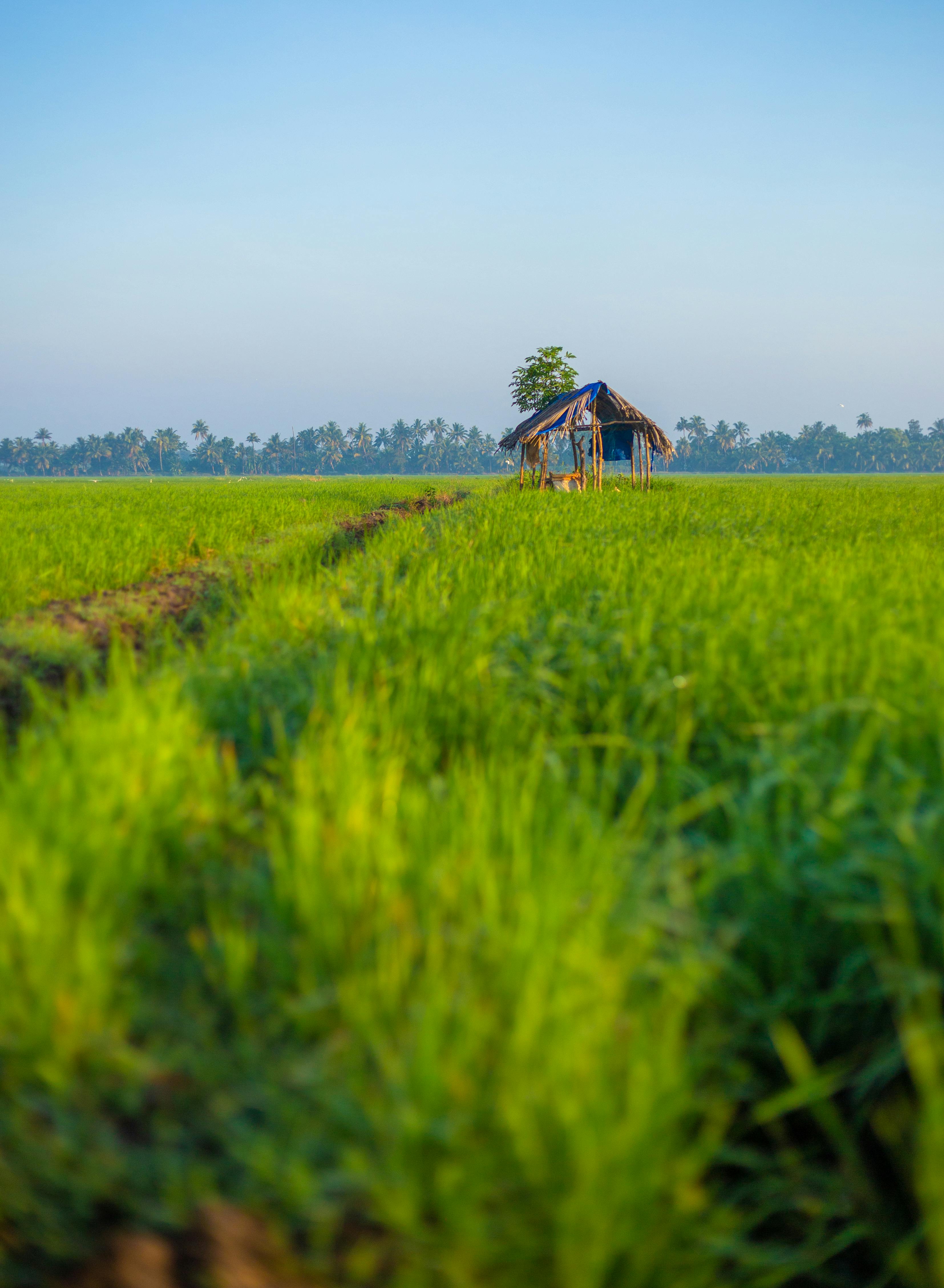 Middle Eastern Landscape Photos, Download The BEST Free Middle Eastern ...