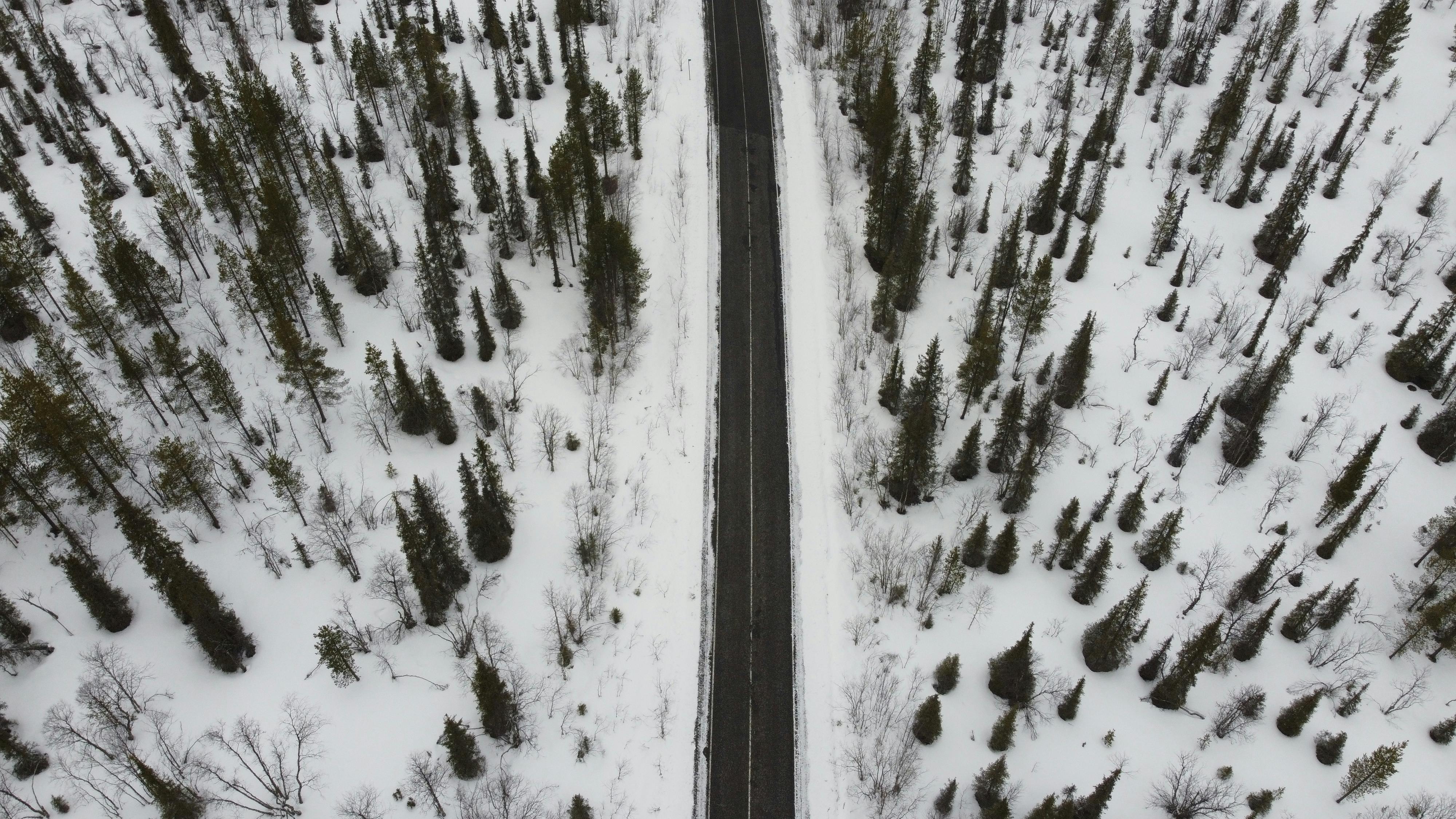 Aerial Photography of Snow-Covered Pine Trees and Road in the Forest during Winter · Free Stock ...