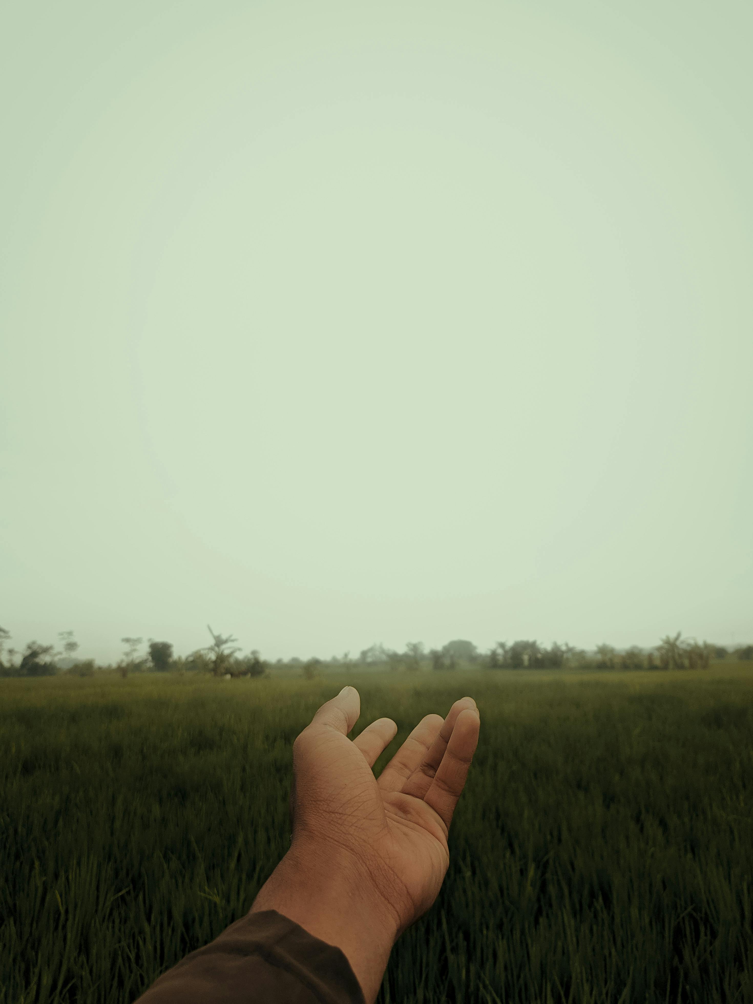 Person Reaching Out · Free Stock Photo