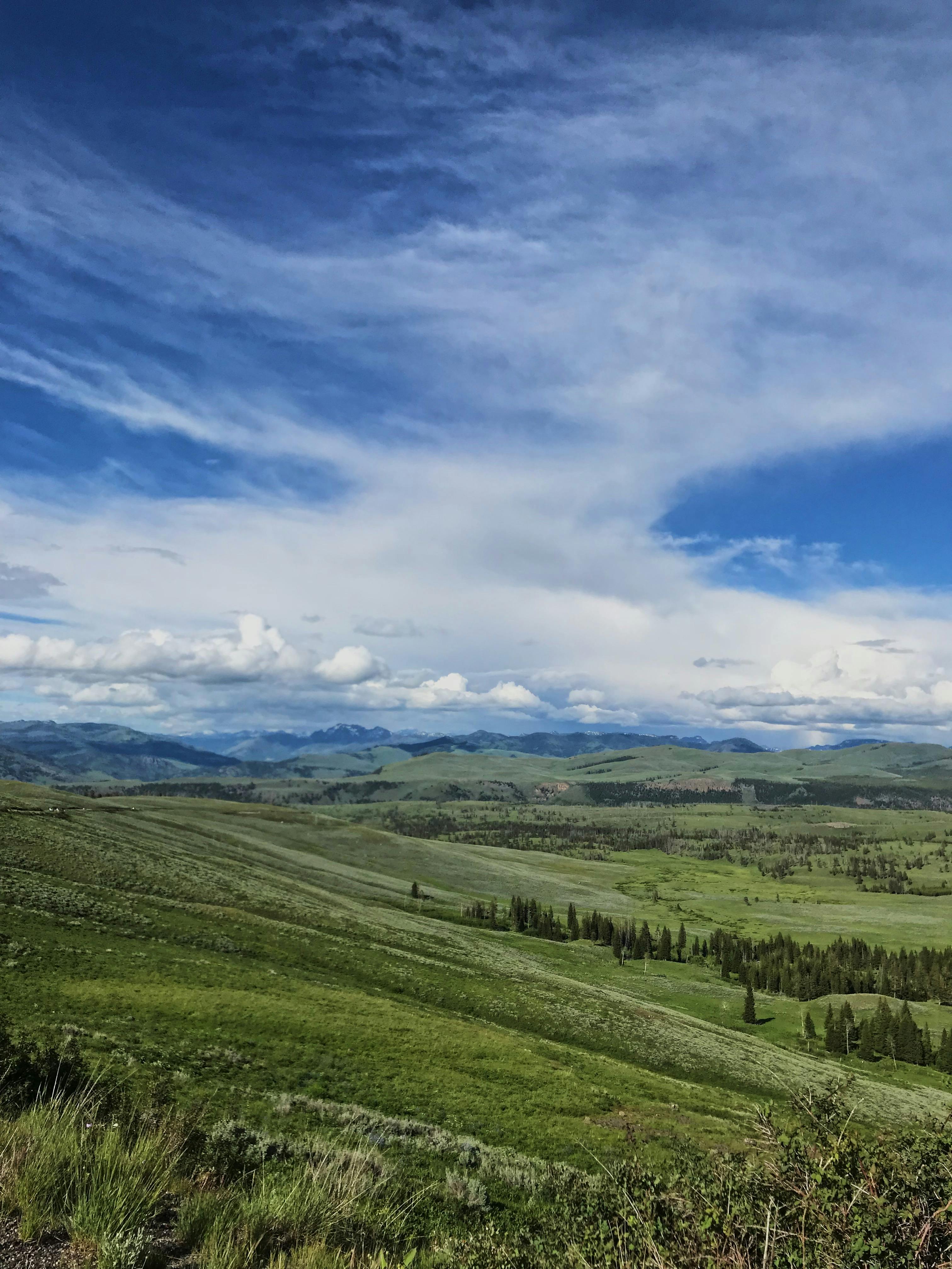 Landscape Scenery of Grass Field · Free Stock Photo