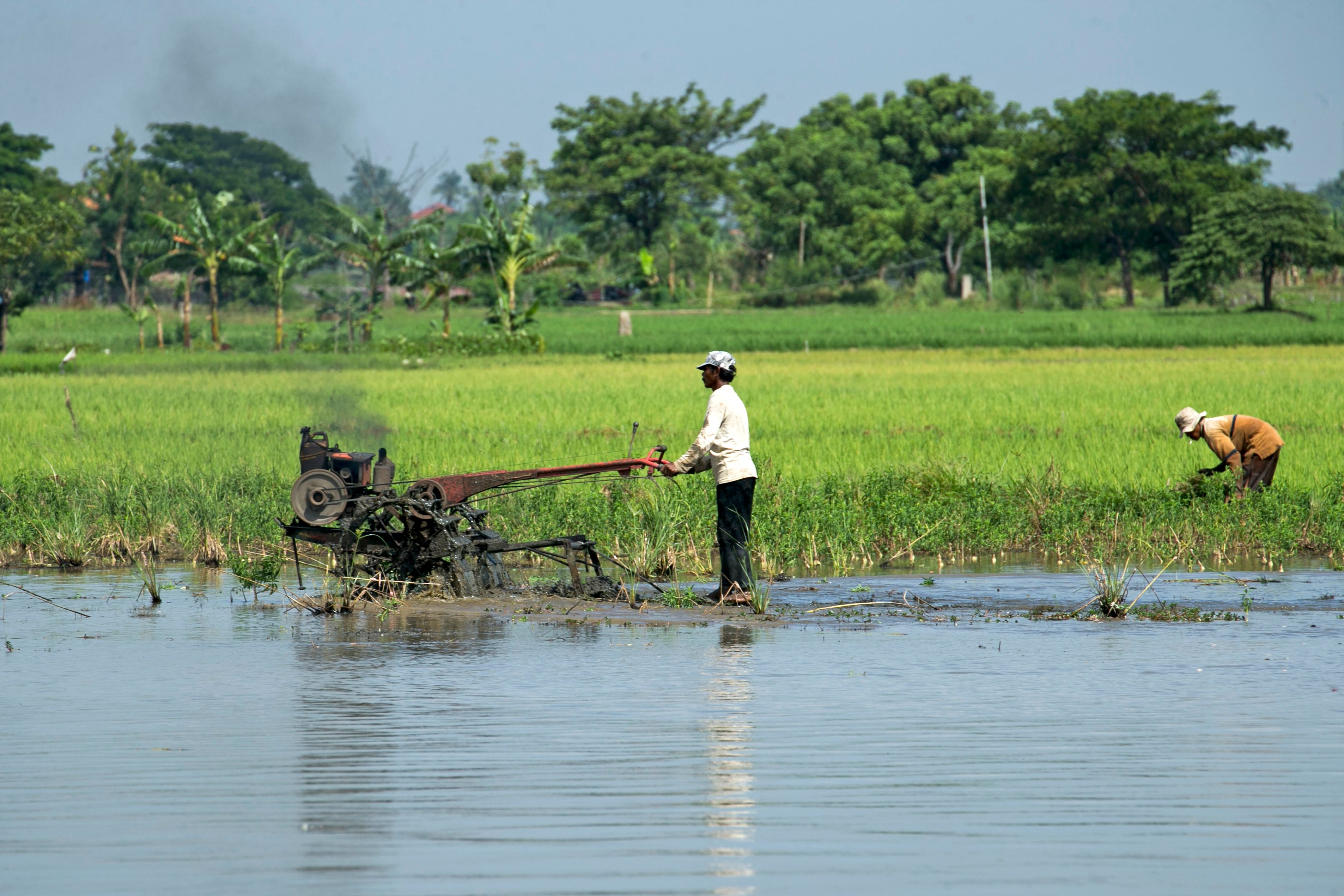 Two People Working in a Field · Free Stock Photo