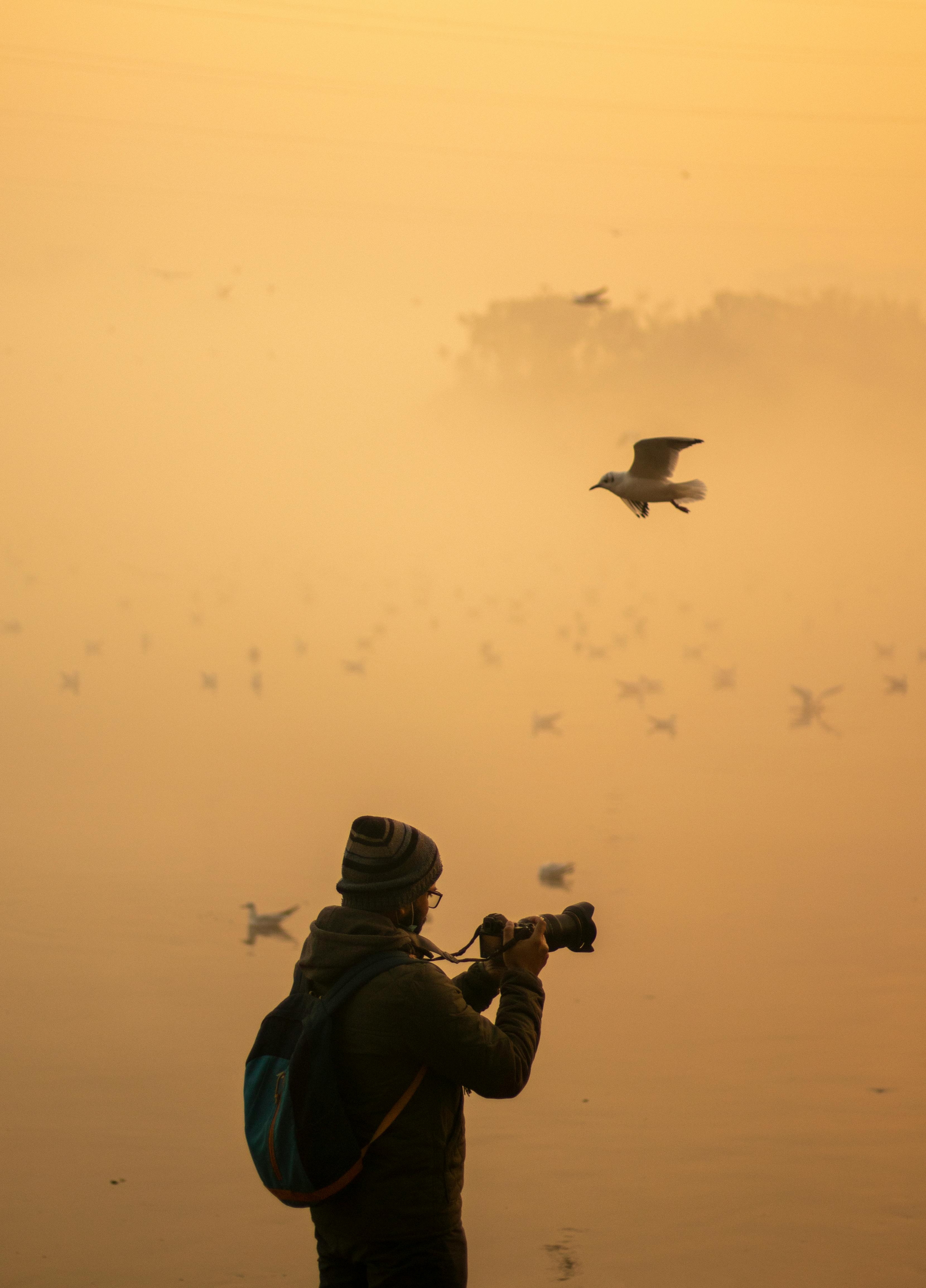 Man Taking Photos of Birds Flying · Free Stock Photo