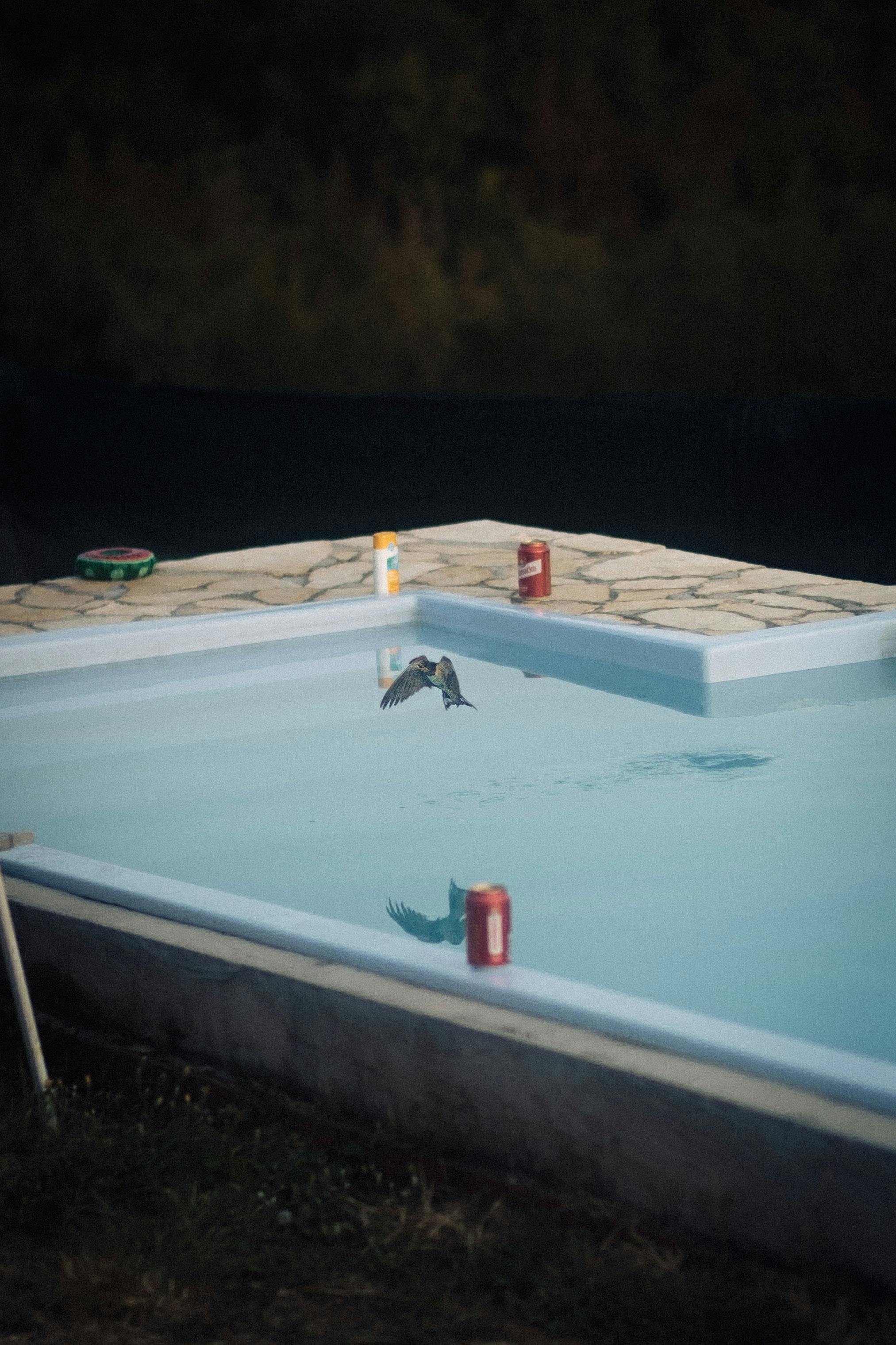 Flying Pool Photos, Download The BEST Free Flying Pool Stock Photos ...