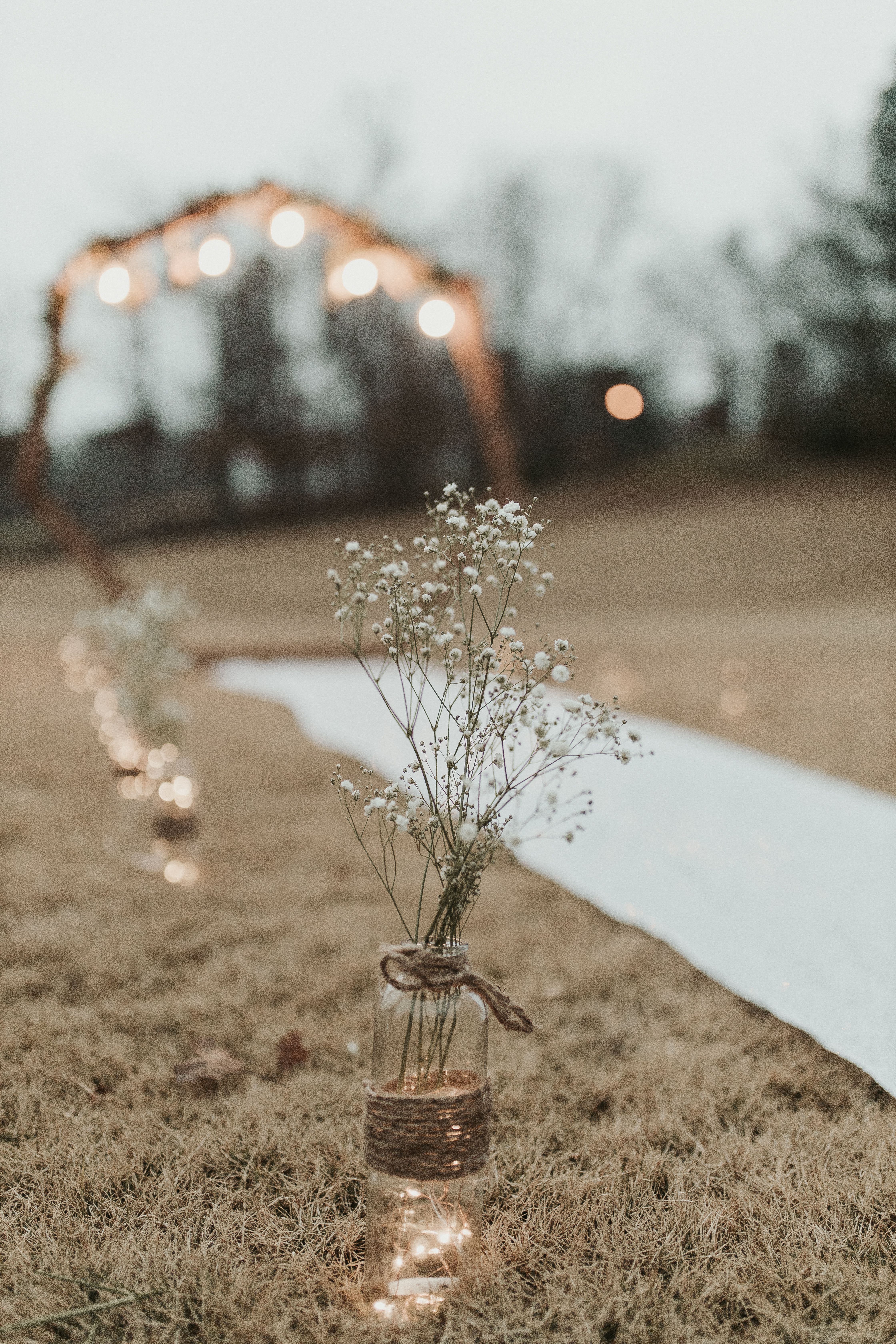 A Flowers in a Glass Vase · Free Stock Photo