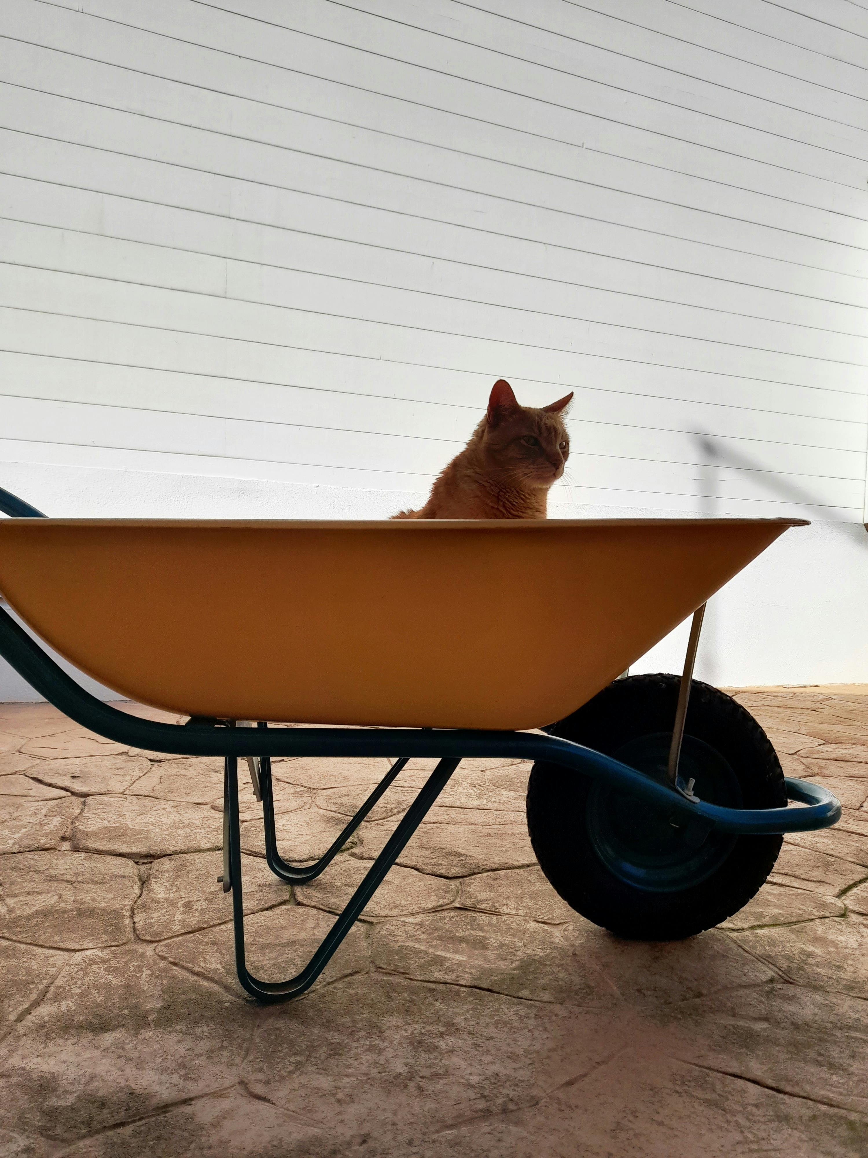 Alice Oliver - Photography