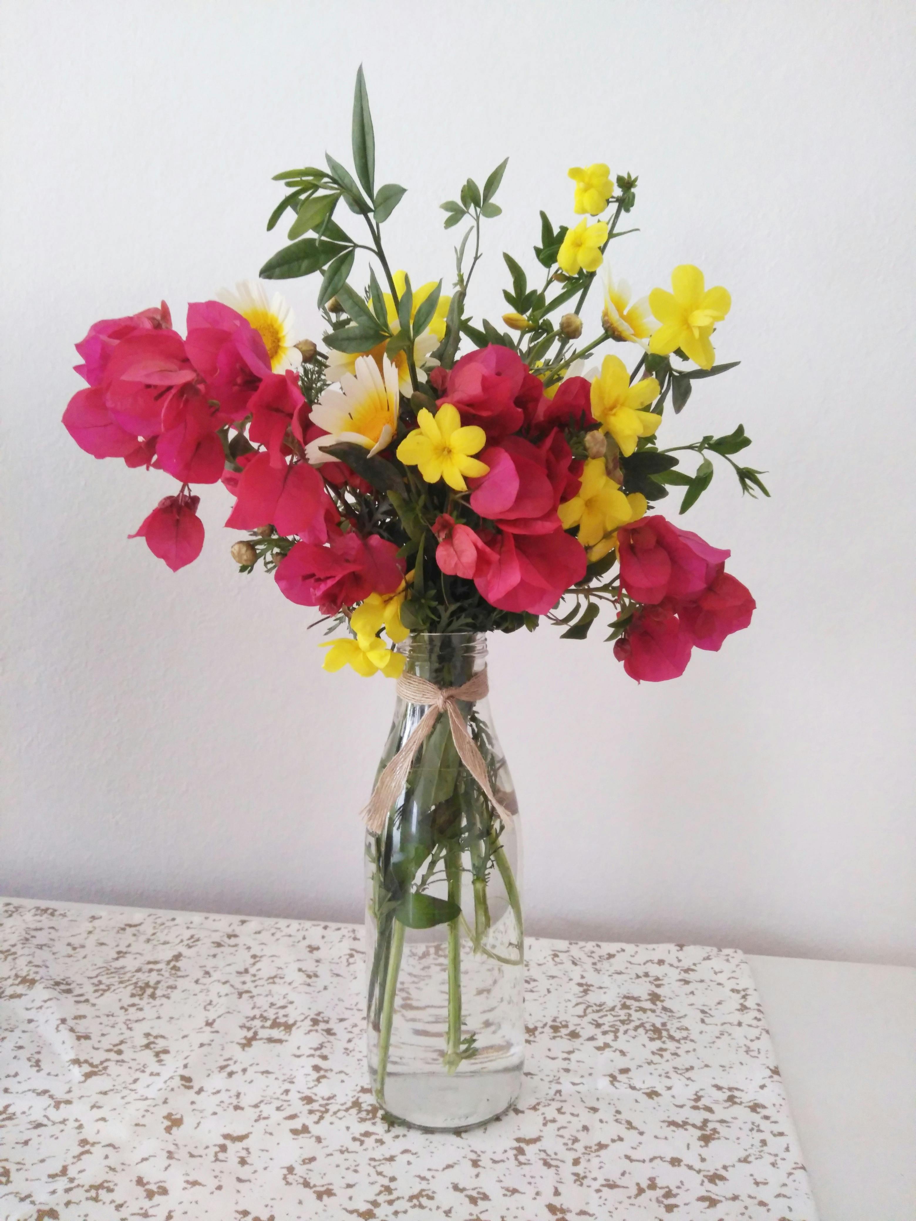 Alice Oliver - Fotografía