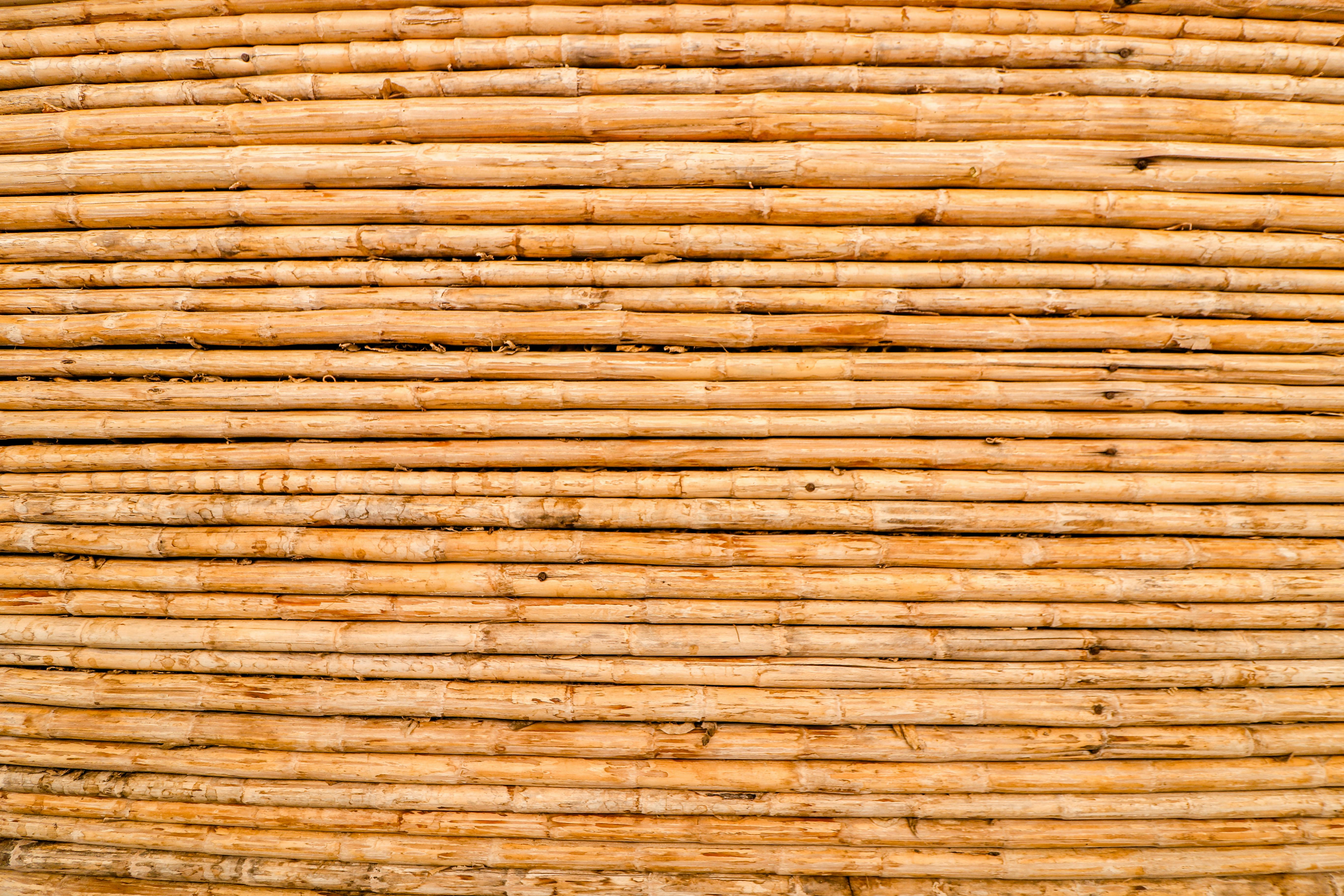 Textured Bamboo Wall · Free Stock Photo