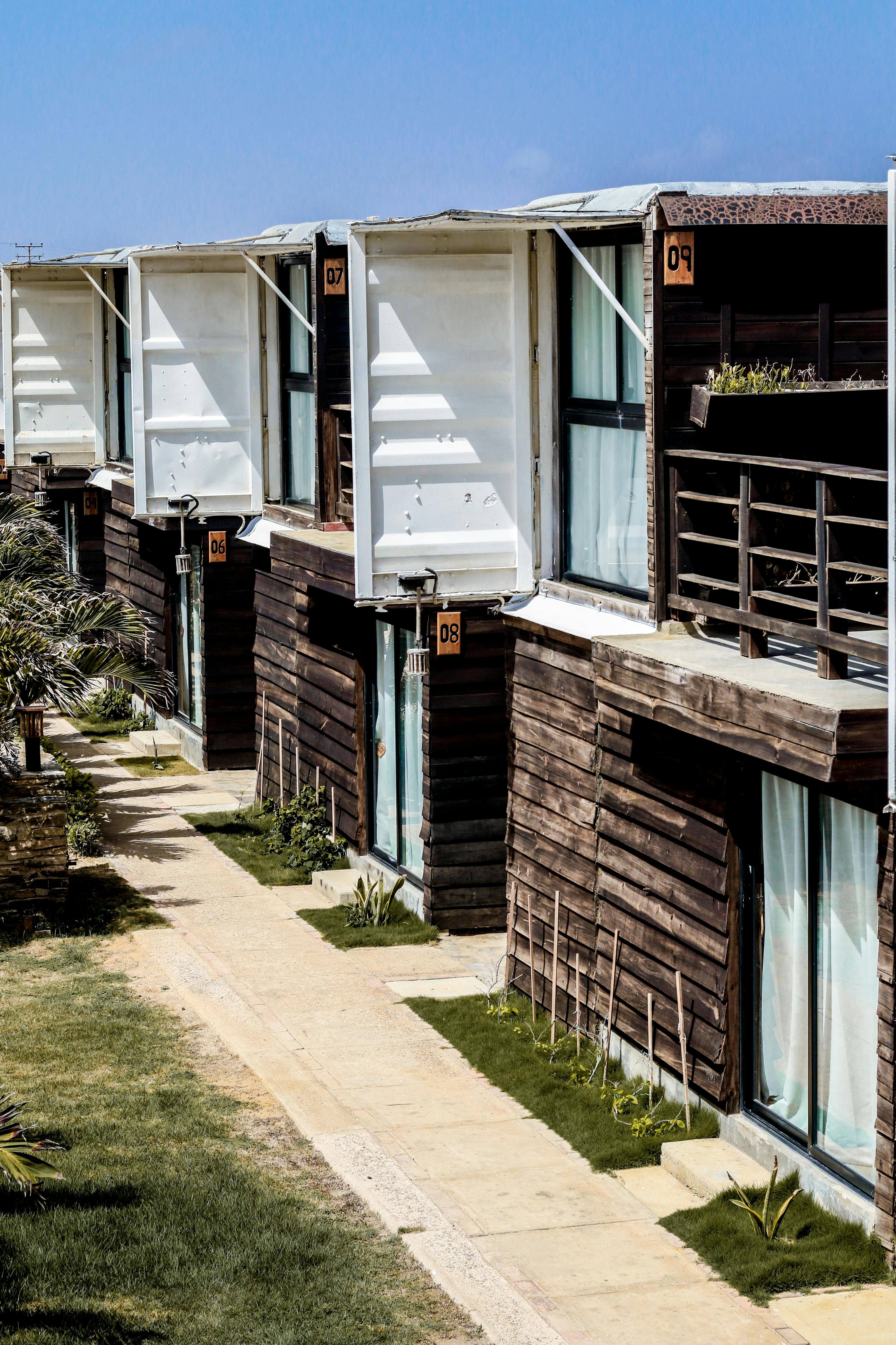 Falcon Layer Photos, Download The BEST Free Falcon Layer Stock Photos ...