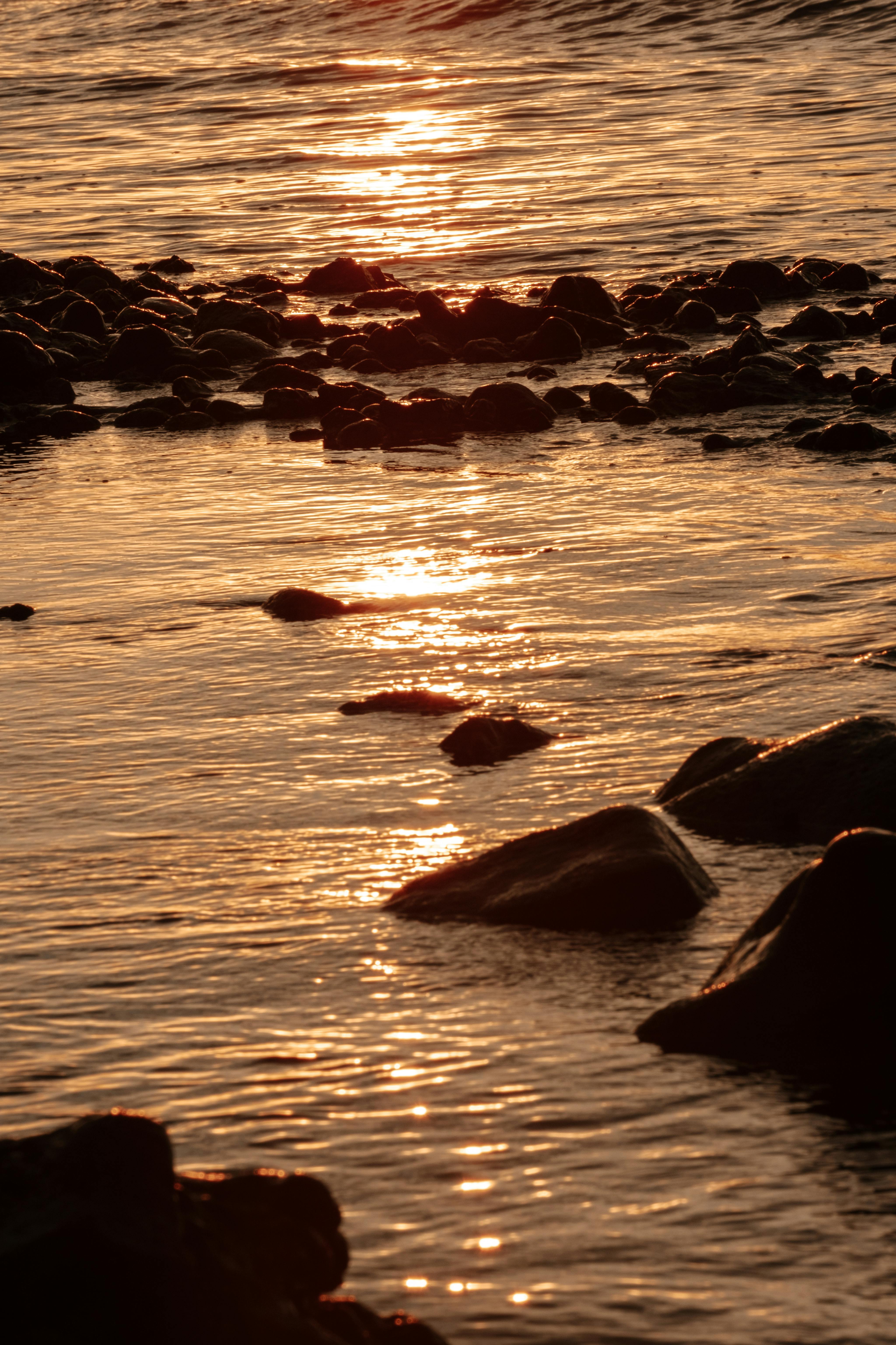 Sunlight on Water on Shore · Free Stock Photo