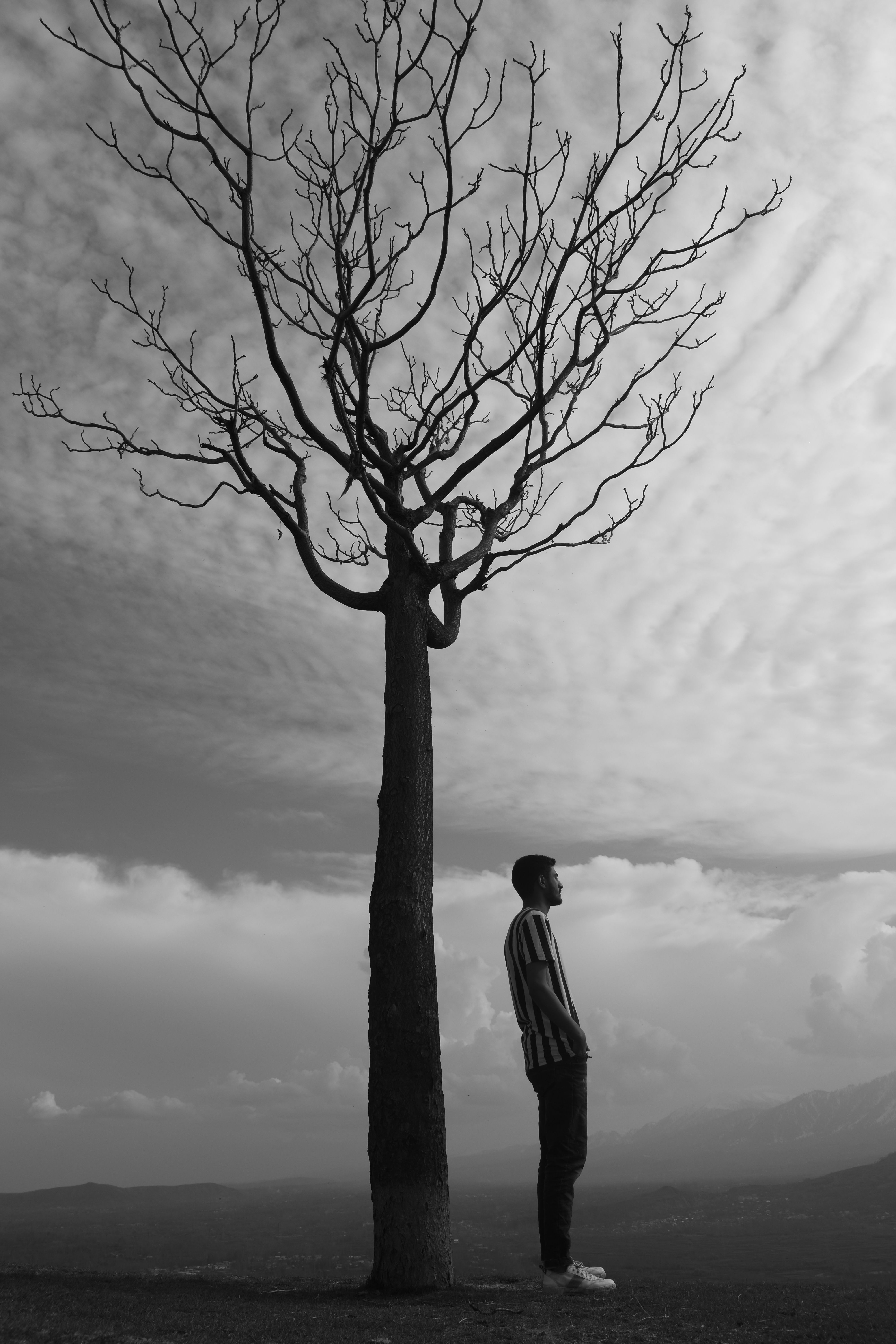 Man Standing Beside Bare Tree · Free Stock Photo