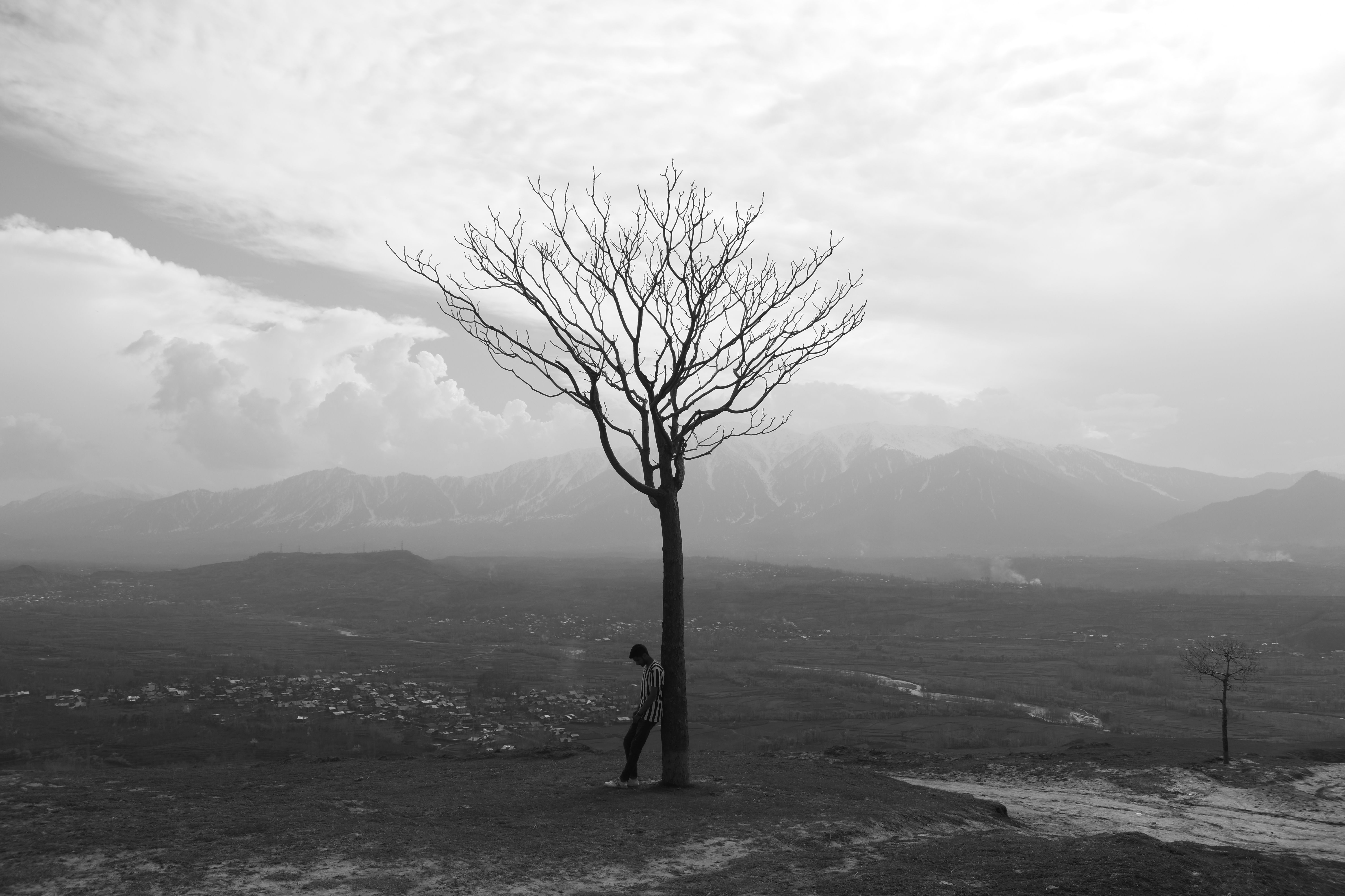 A Man Leaning to the Bare Tree Under Cloudy Sky · Free Stock Photo