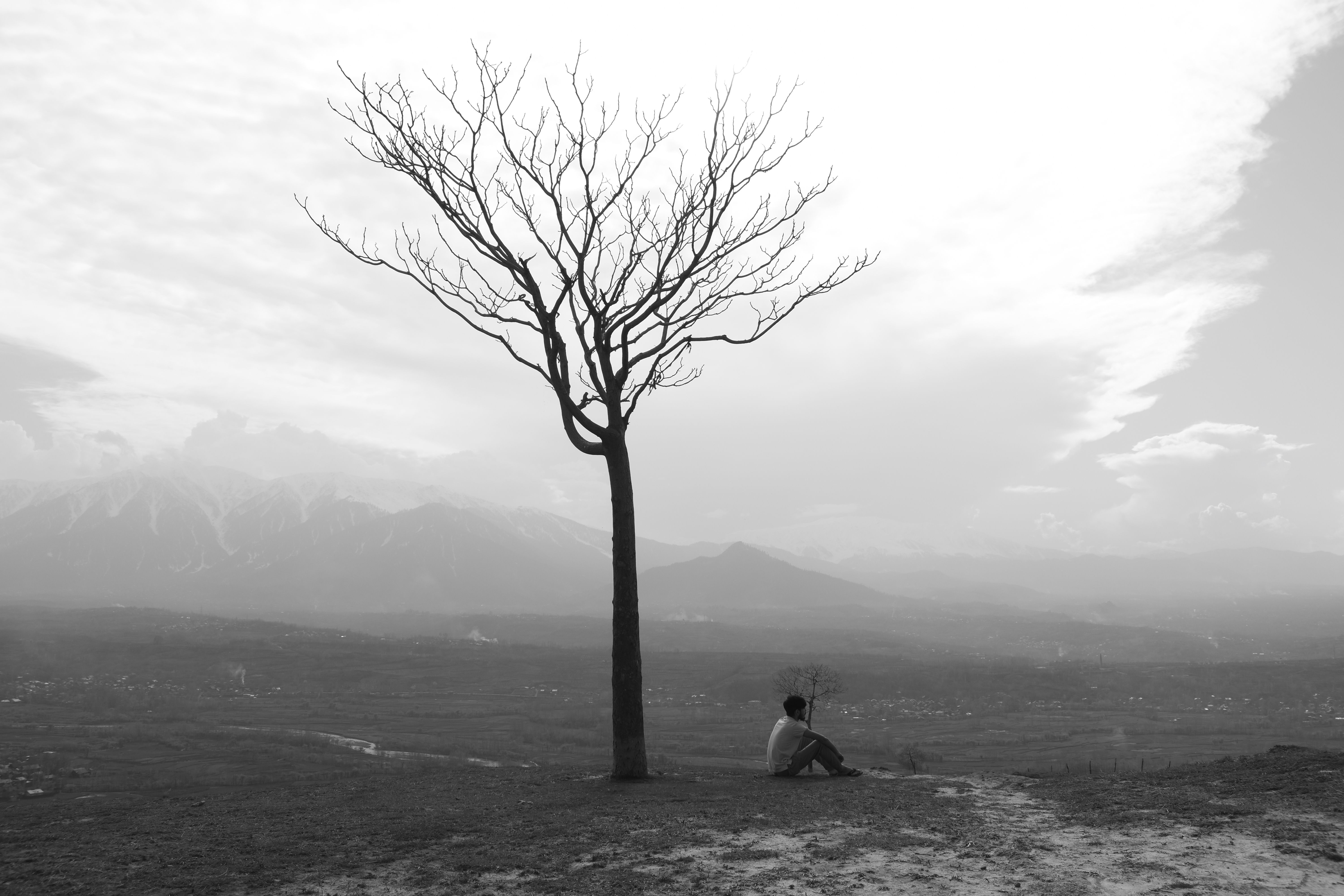 Person Standing Beside a Leafless Tree · Free Stock Photo
