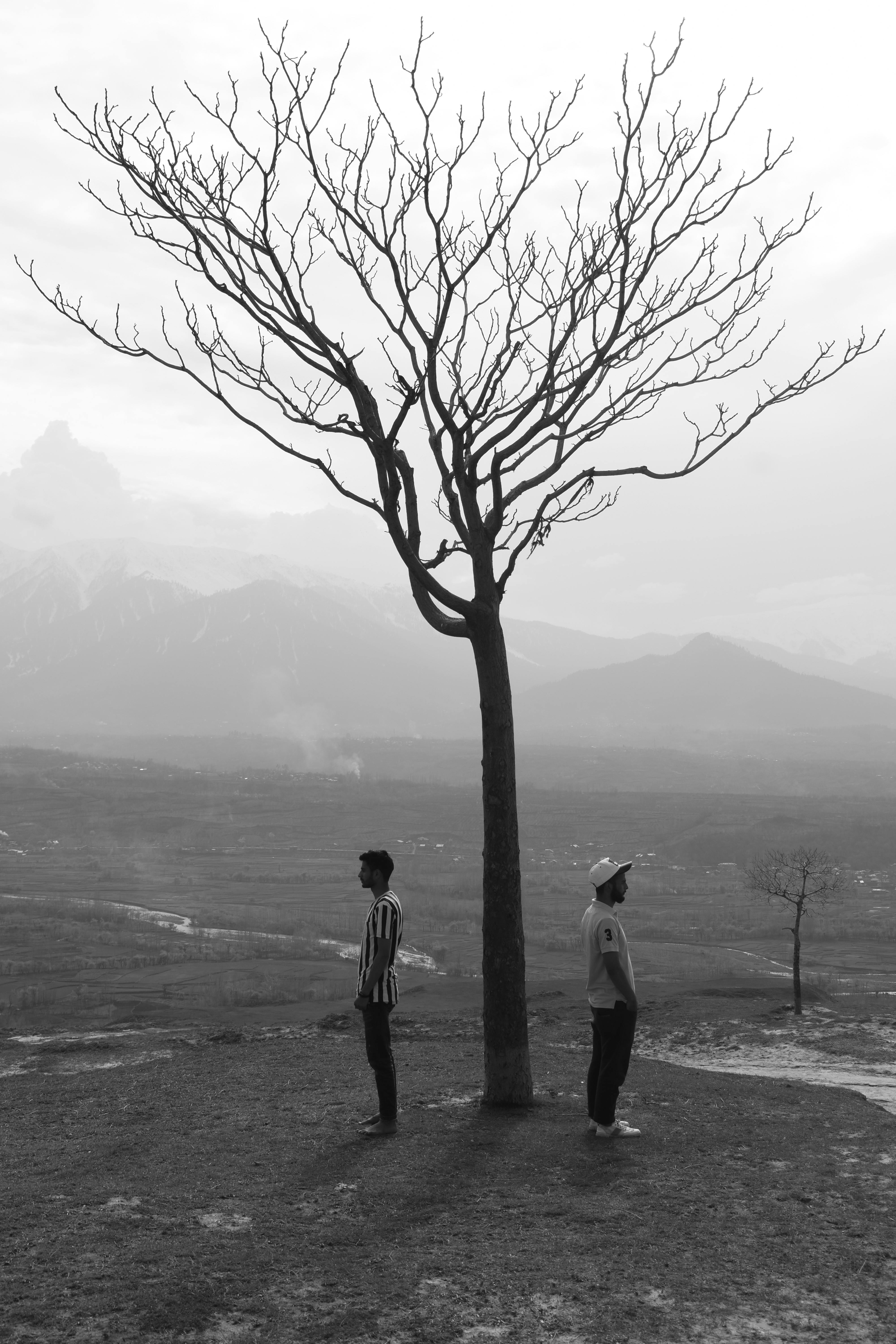 Monochrome Shot of Men Standing beside a Leafless Tree · Free Stock Photo