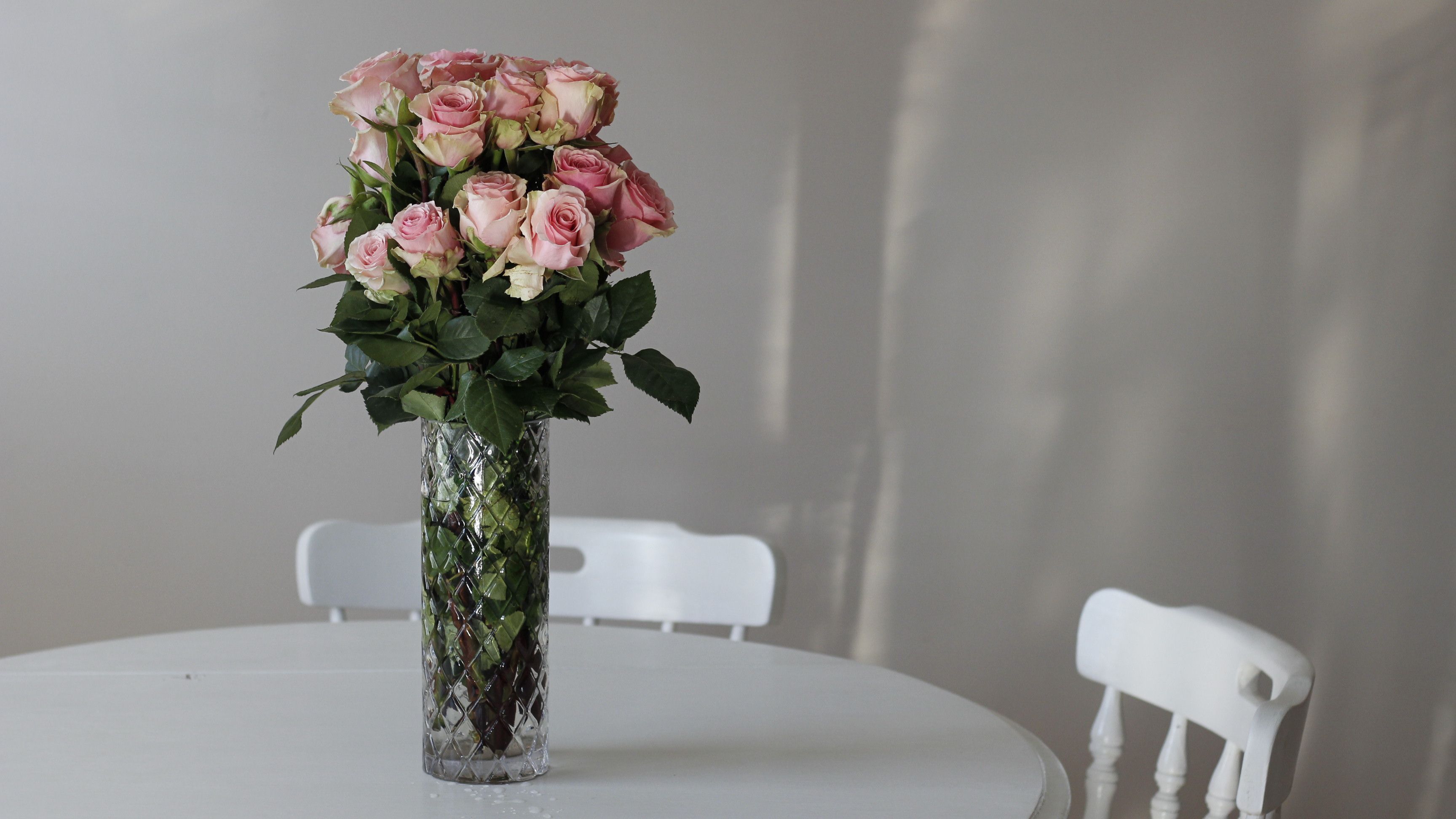 Roses in a Glass Vase · Free Stock Photo