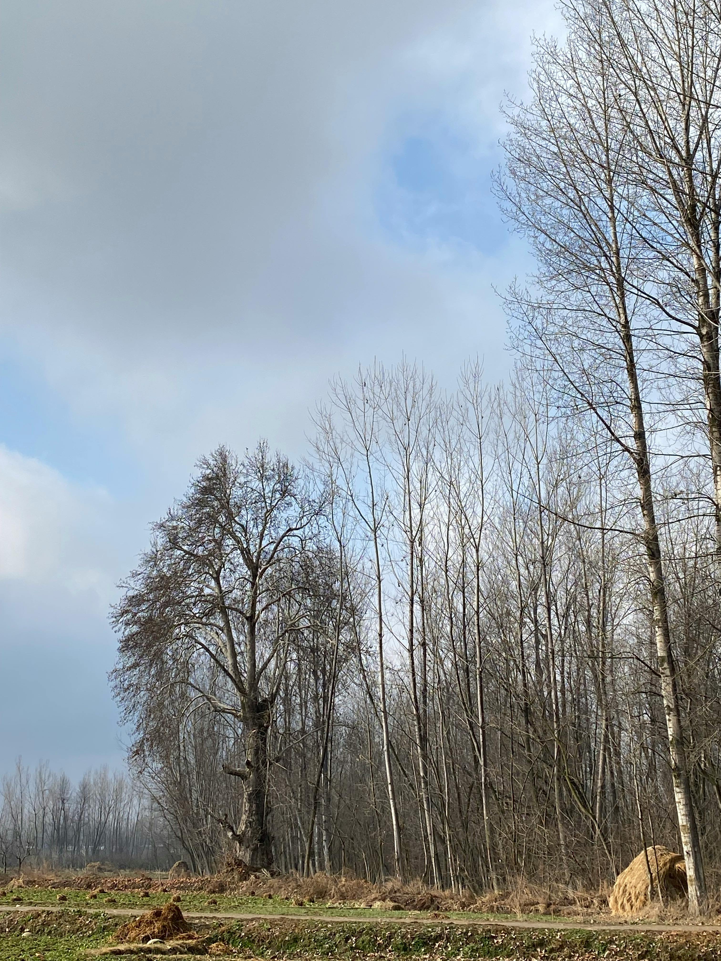 Mountain Peak and Town · Free Stock Photo