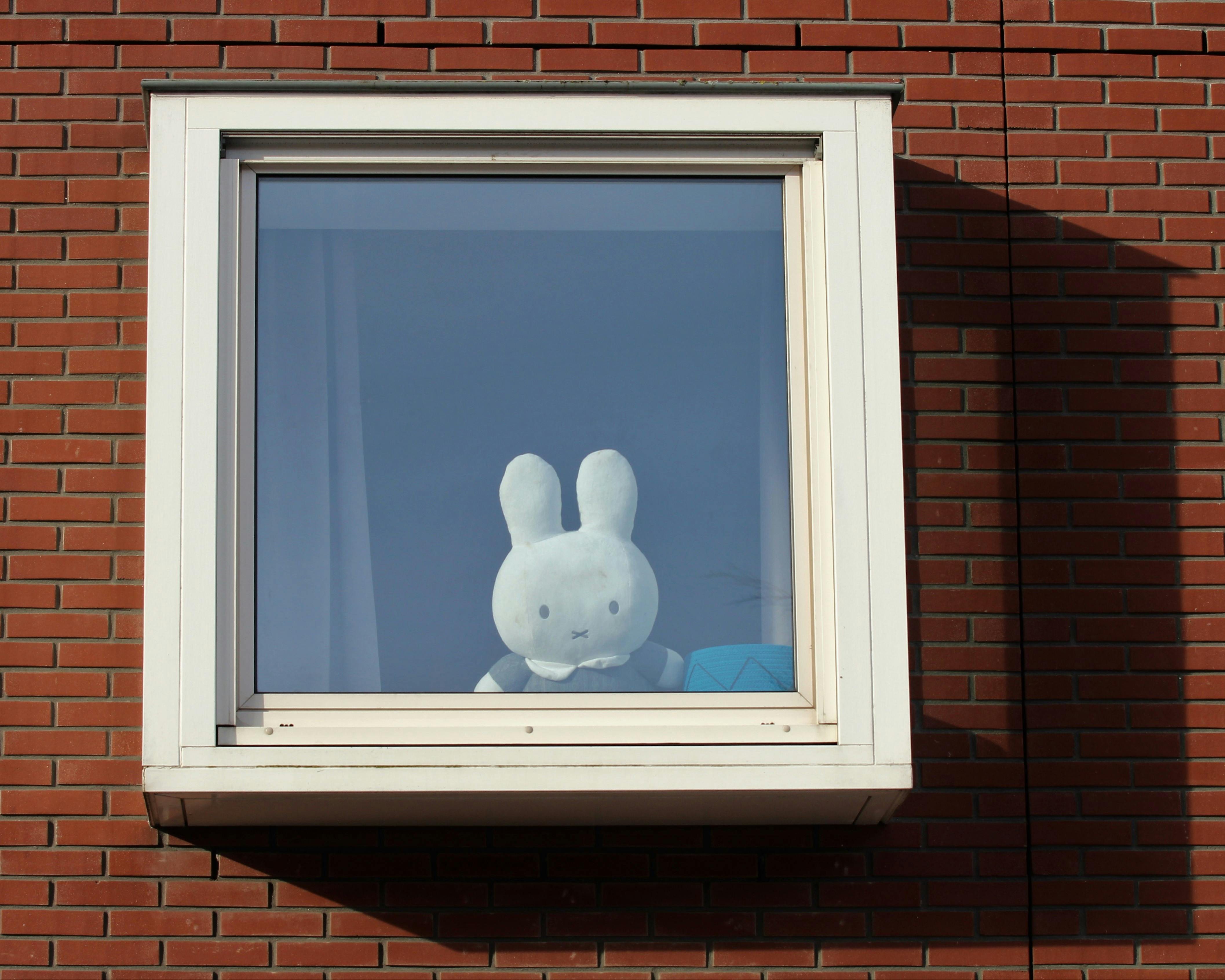 A Stuffed Toy at the Window of a Brick Building · Free Stock Photo