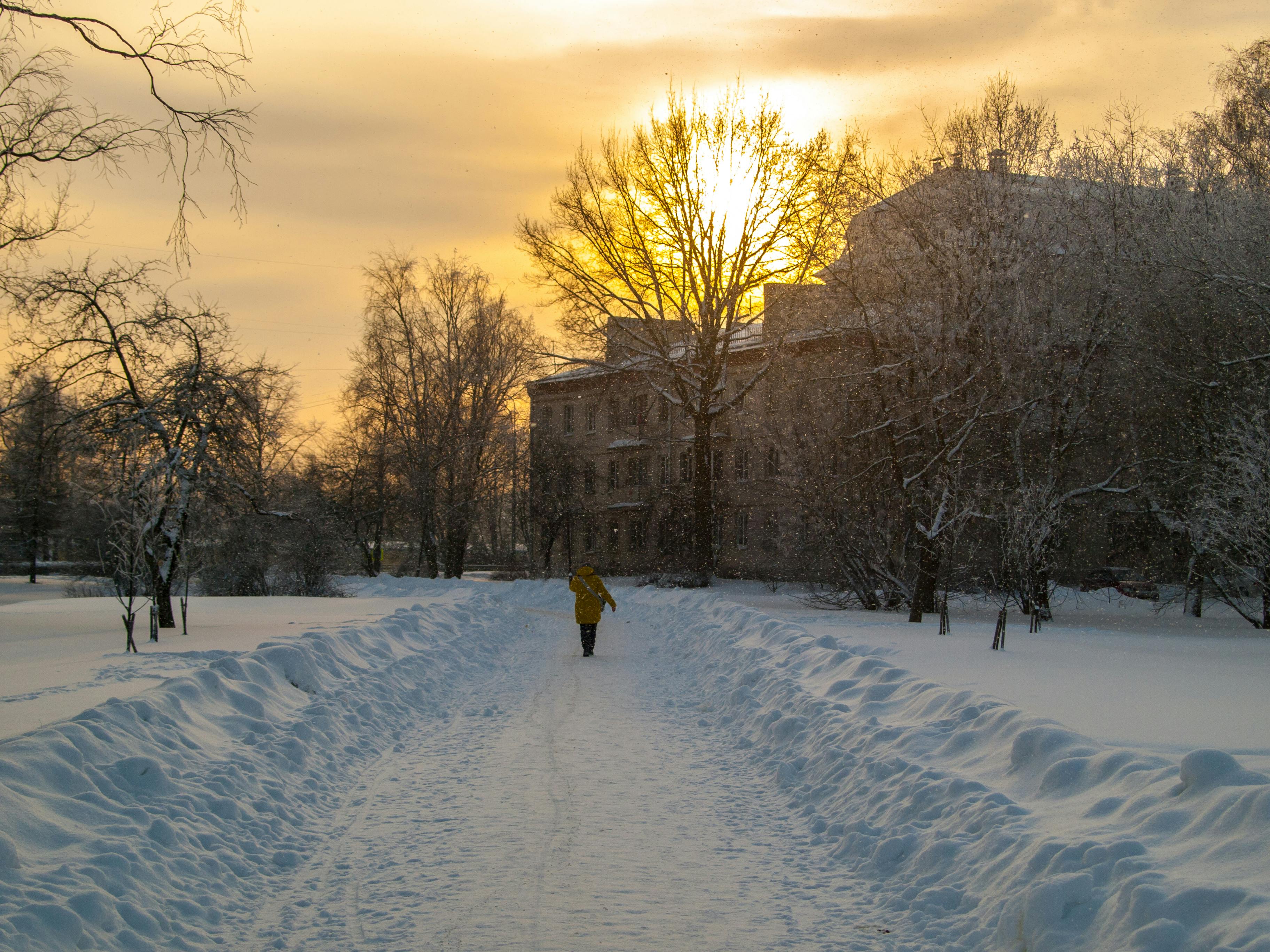 Person in Yellow Jacket Walking Alone on Snow Covered Ground · Free ...