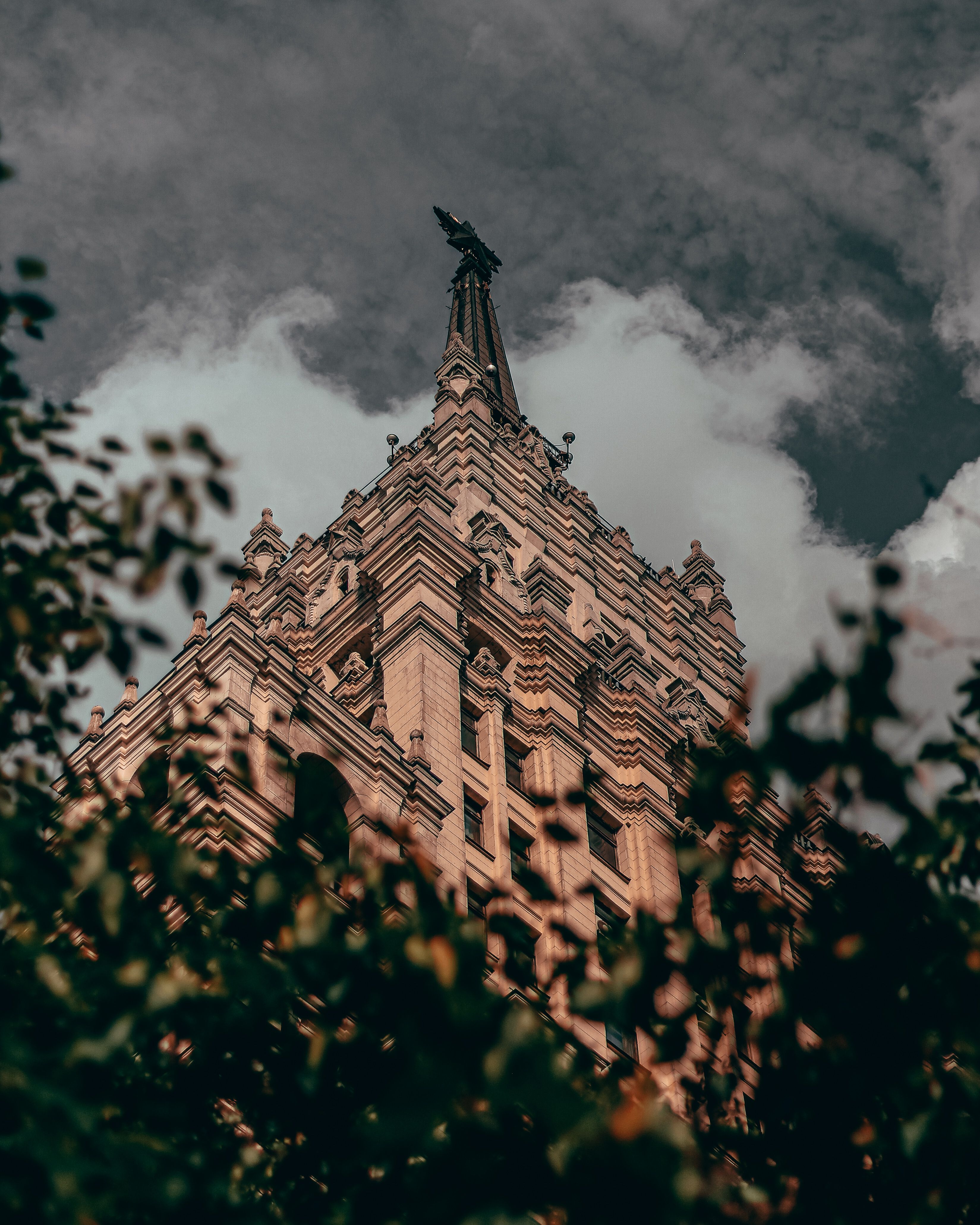 Monumental Building Wall behind Leaves · Free Stock Photo