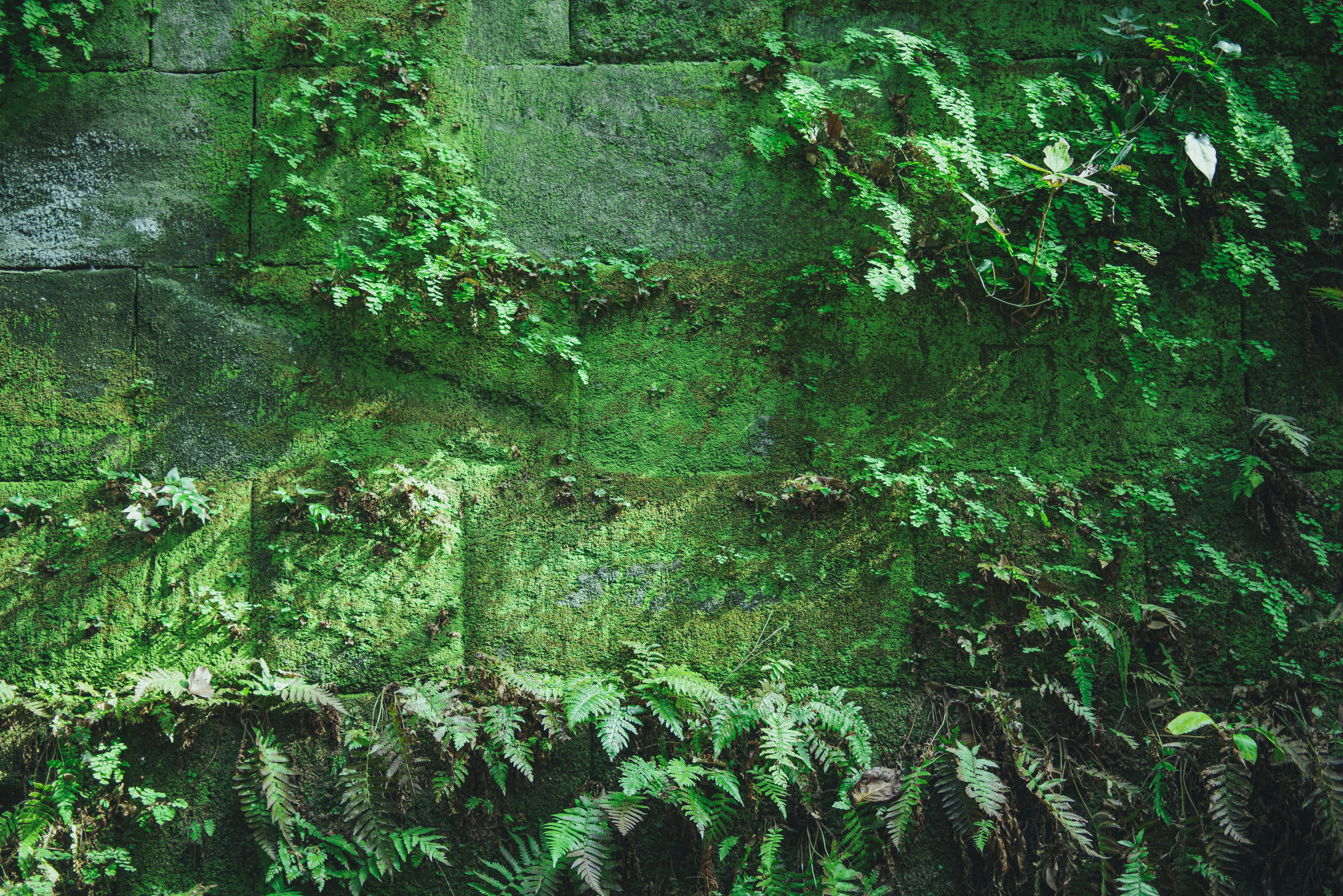 Takuya Sakamoto – Fotografia