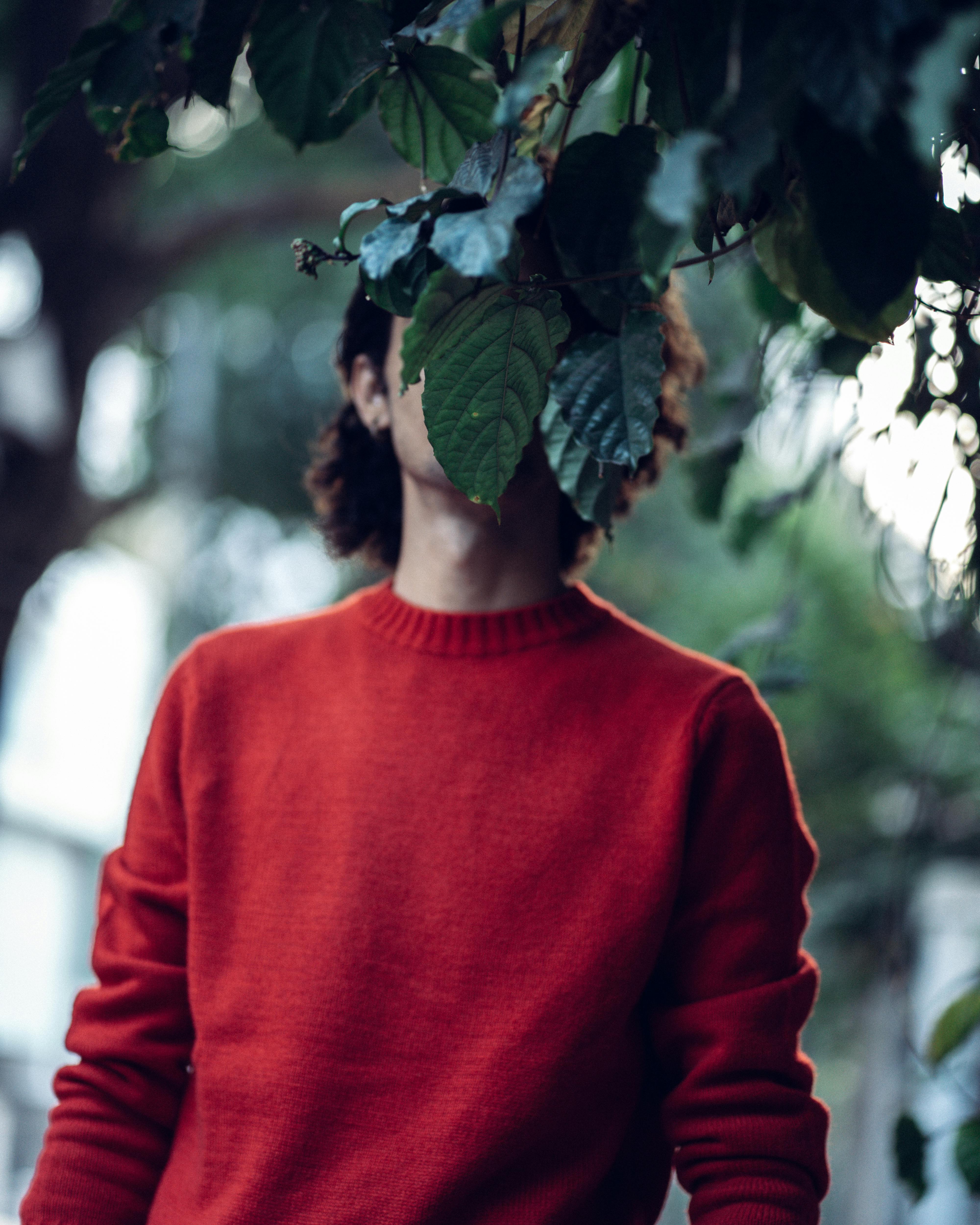 Person Hidden Photos, Download The BEST Free Person Hidden Stock Photos ...