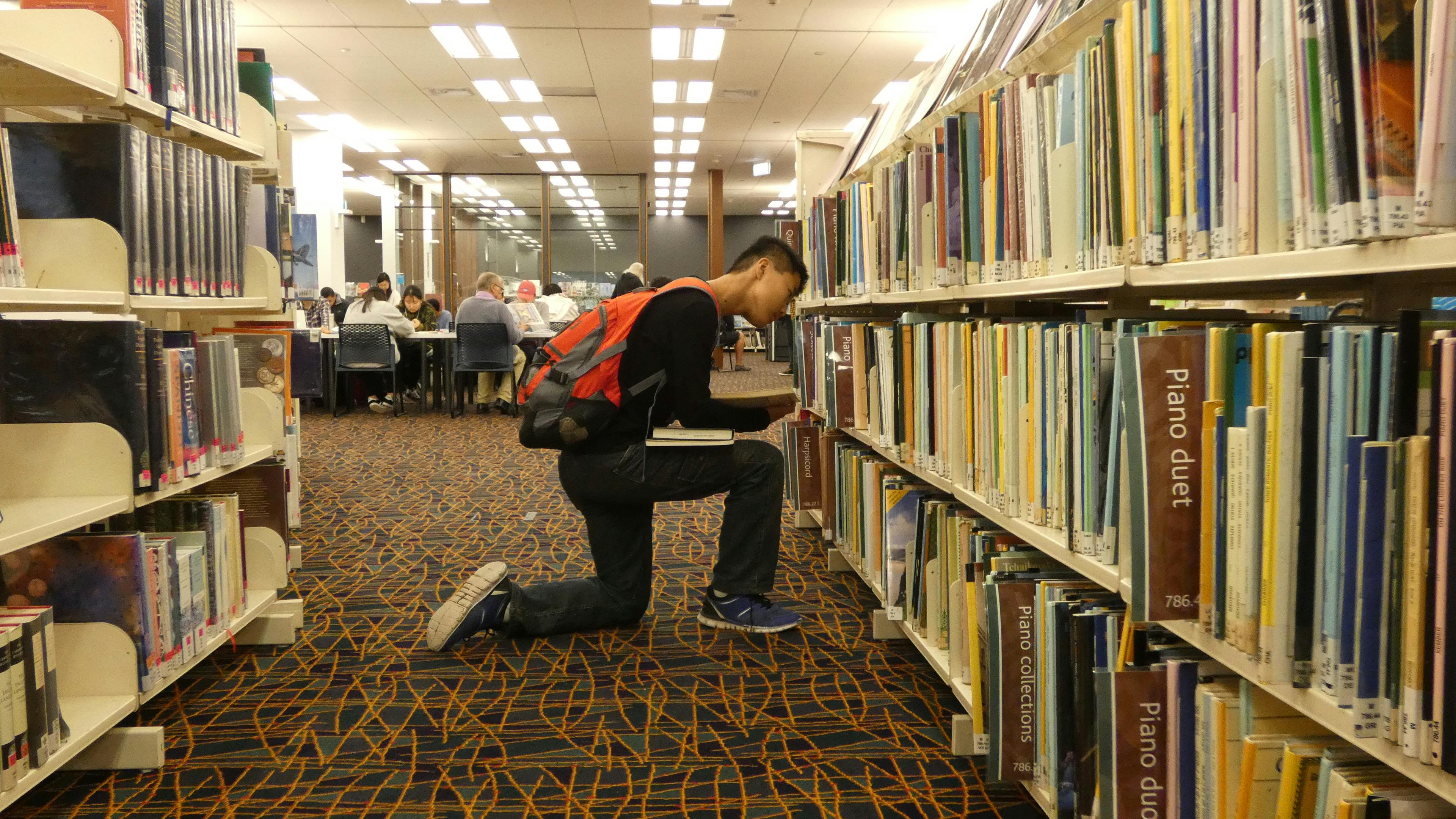 Free stock photo of college students, library, studying