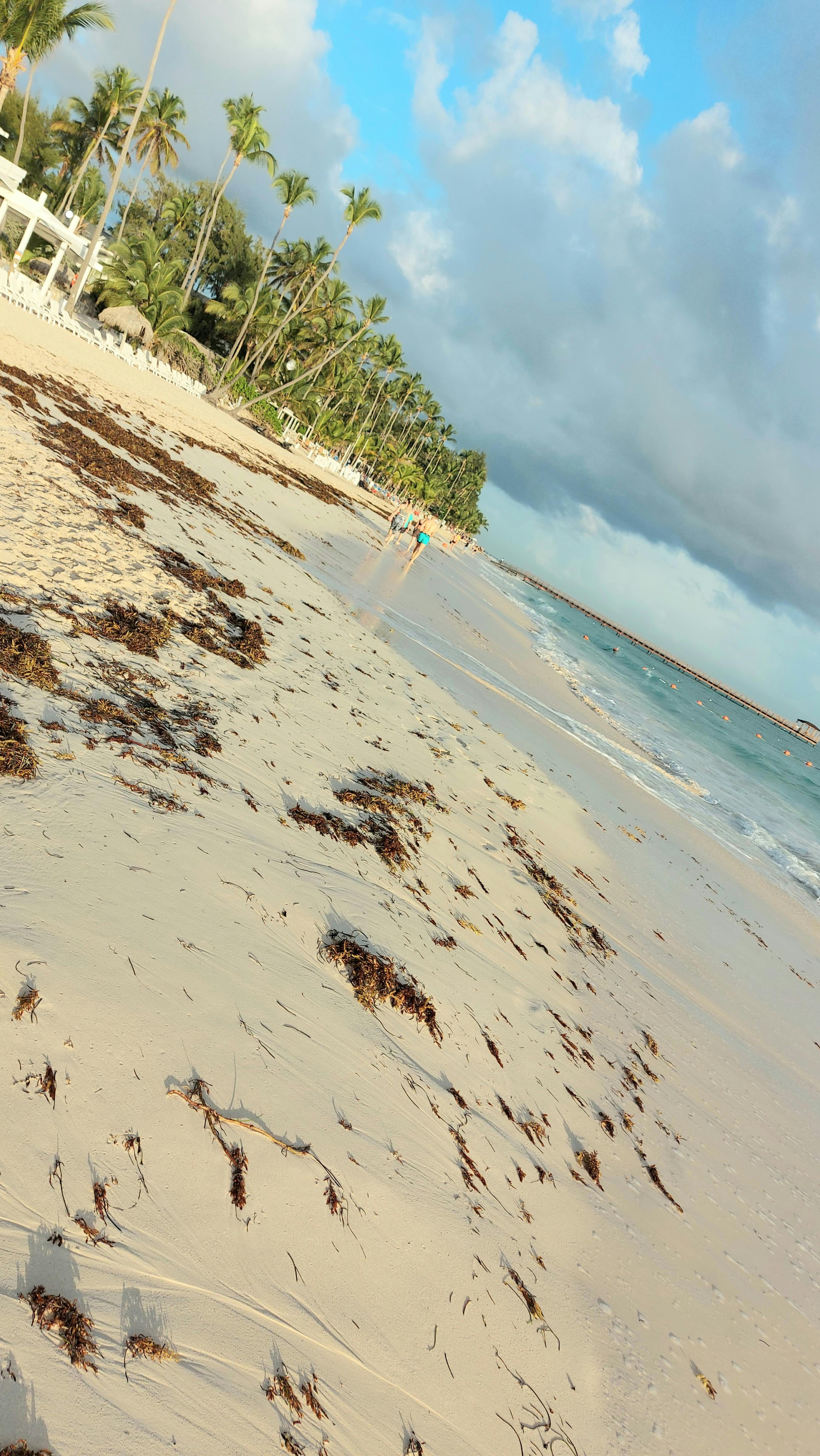 Alexandru Gutu - Photography