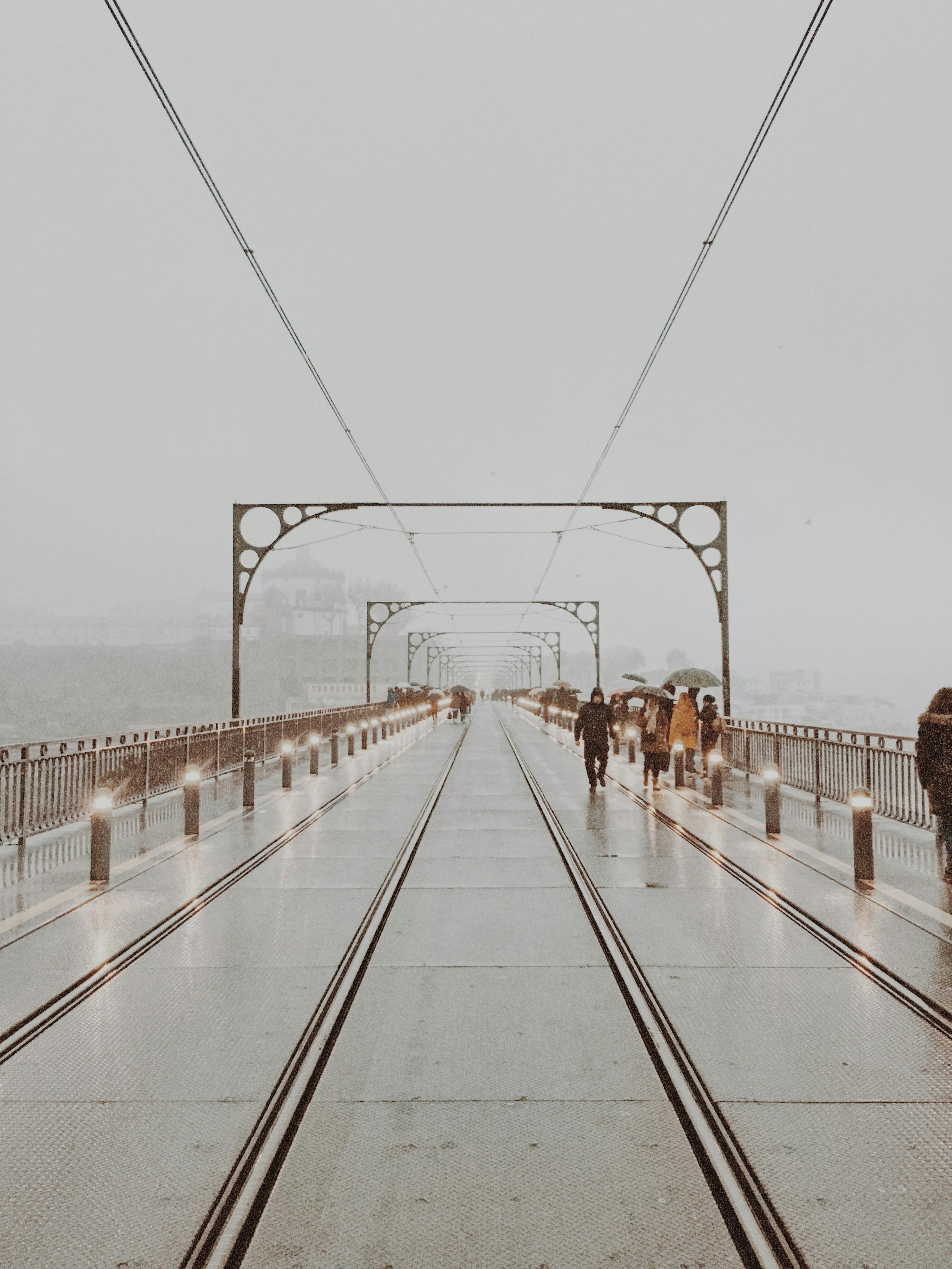 People Crossing the Bridge in the Forest · Free Stock Photo