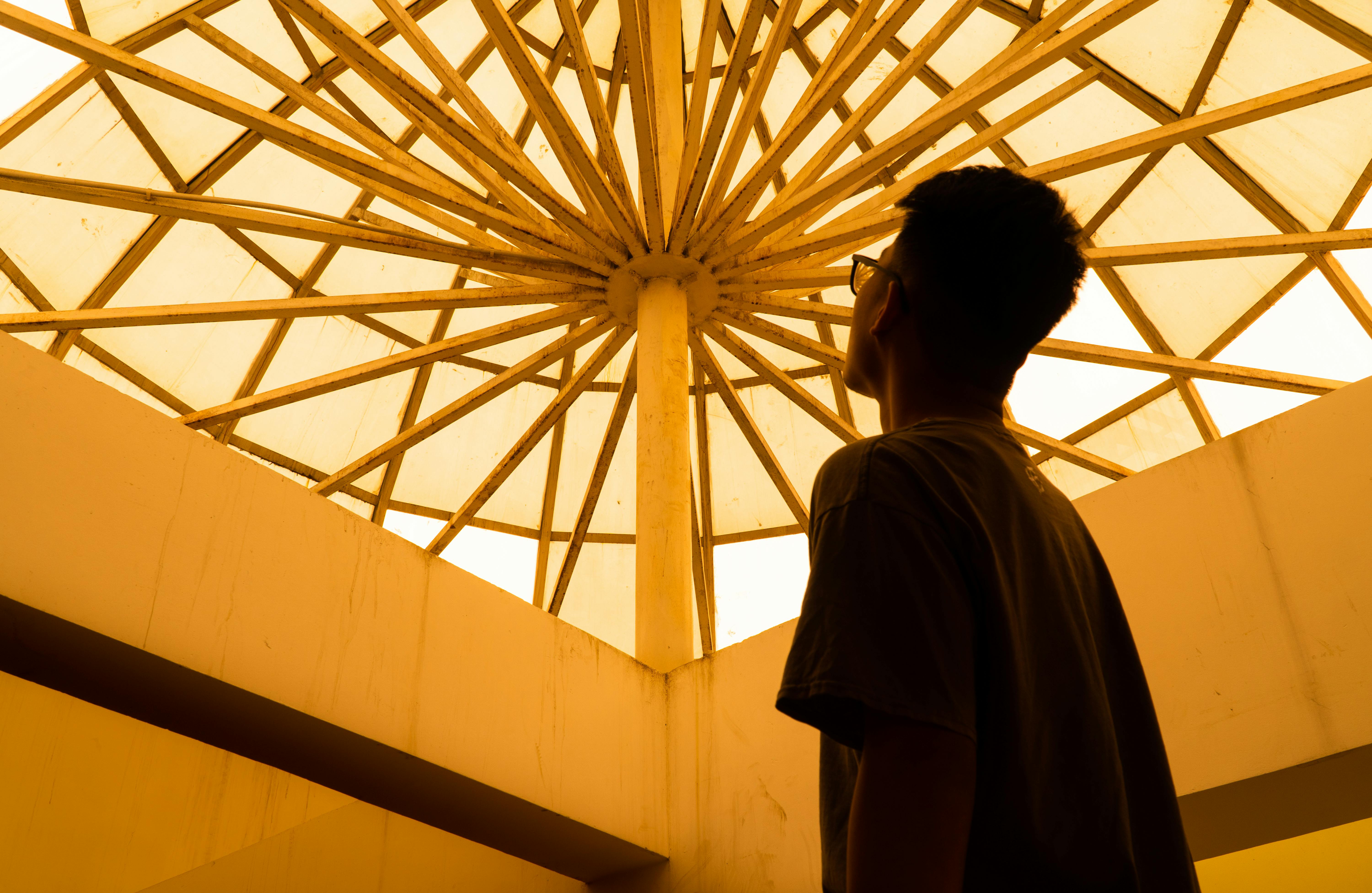 Back View Shot of a Man Looking at the Ceiling · Free Stock Photo