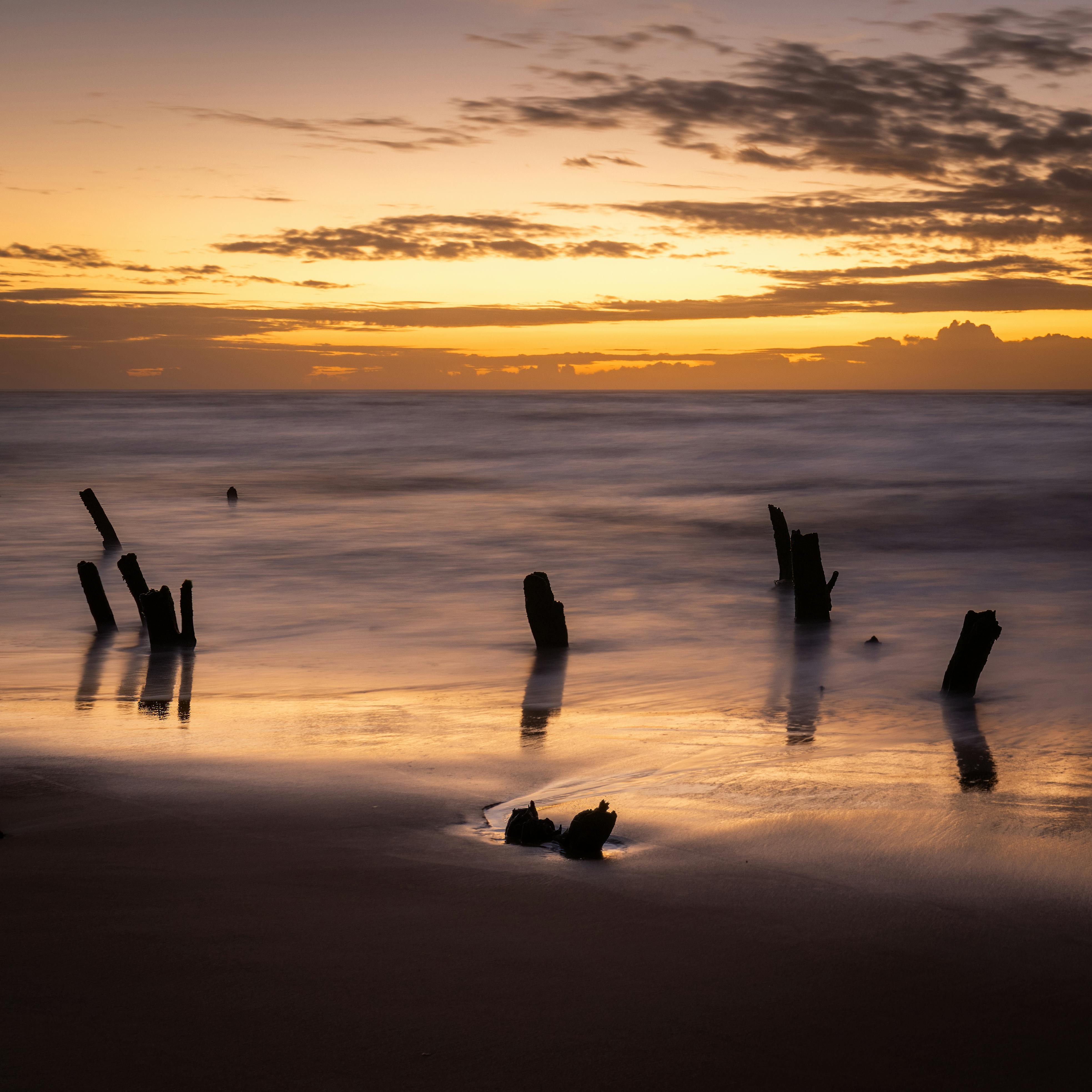 Wood 8k Photos, Download Free Wood 8k Stock Photos & HD Images