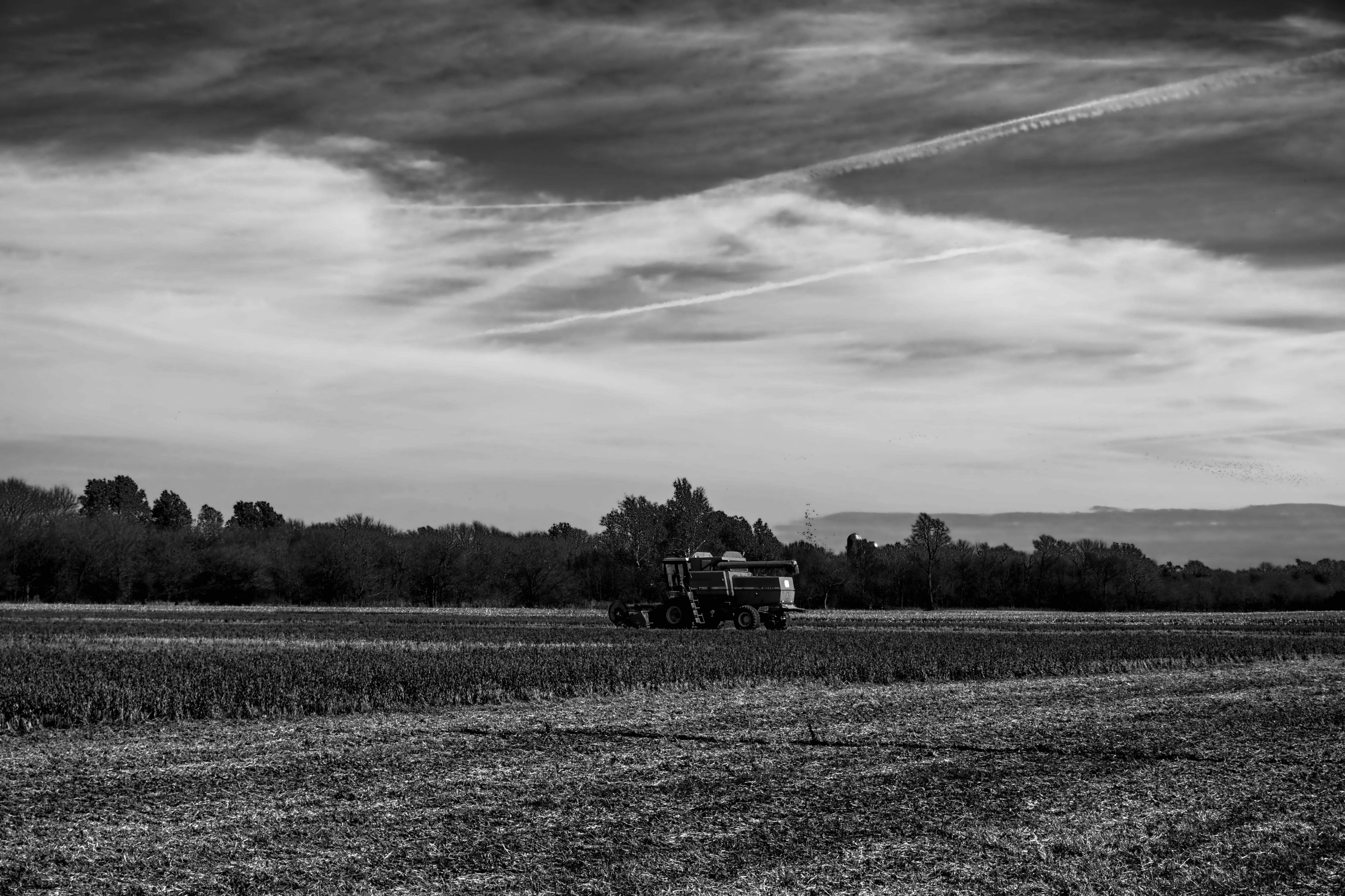 Grayscale Photo of Grass Field · Free Stock Photo