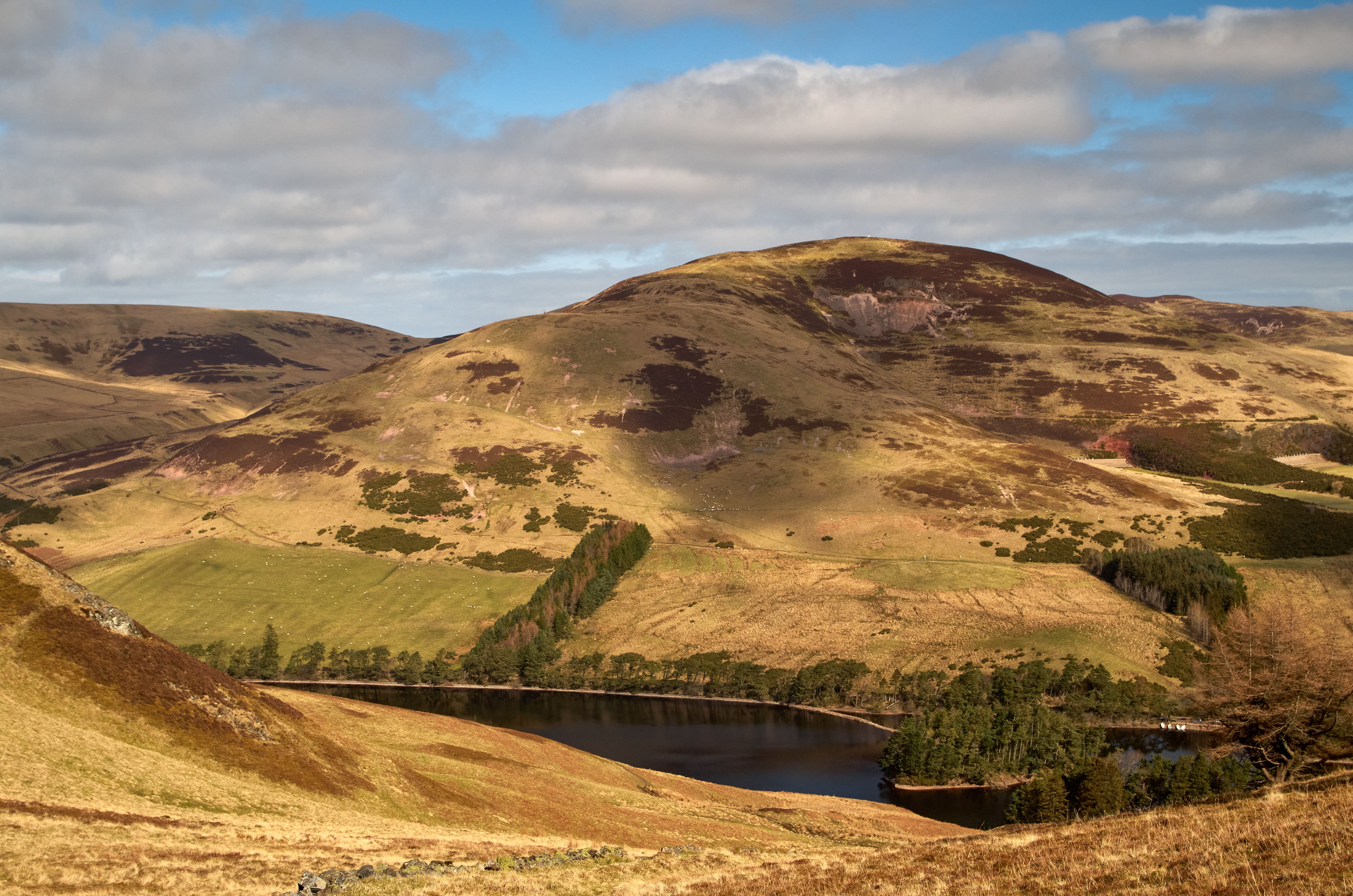 Scenic View of Pentland Hills in Scotland · Free Stock Photo
