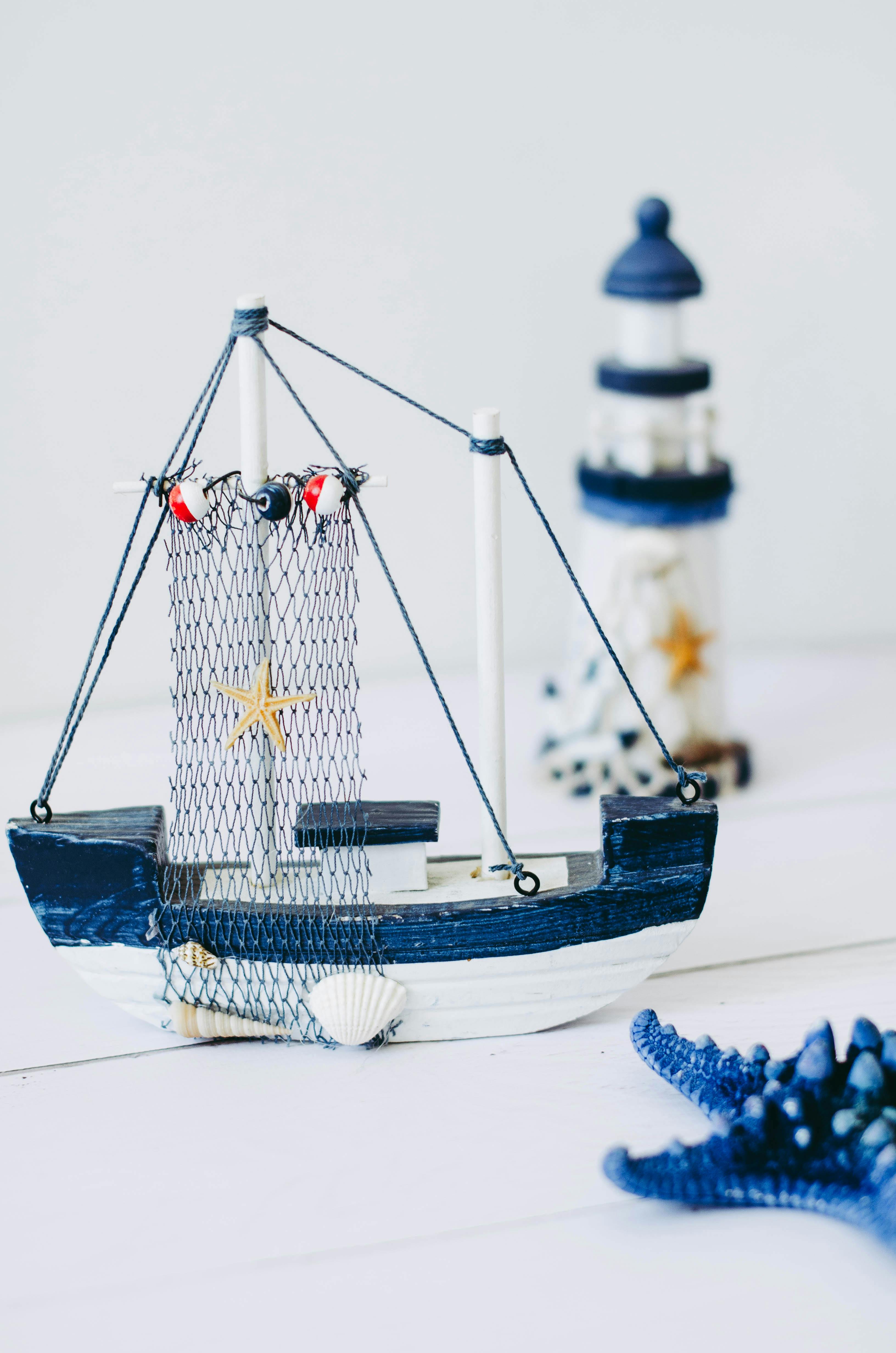 Star Fish Shell Photos, Download The BEST Free Star Fish Shell Stock ...