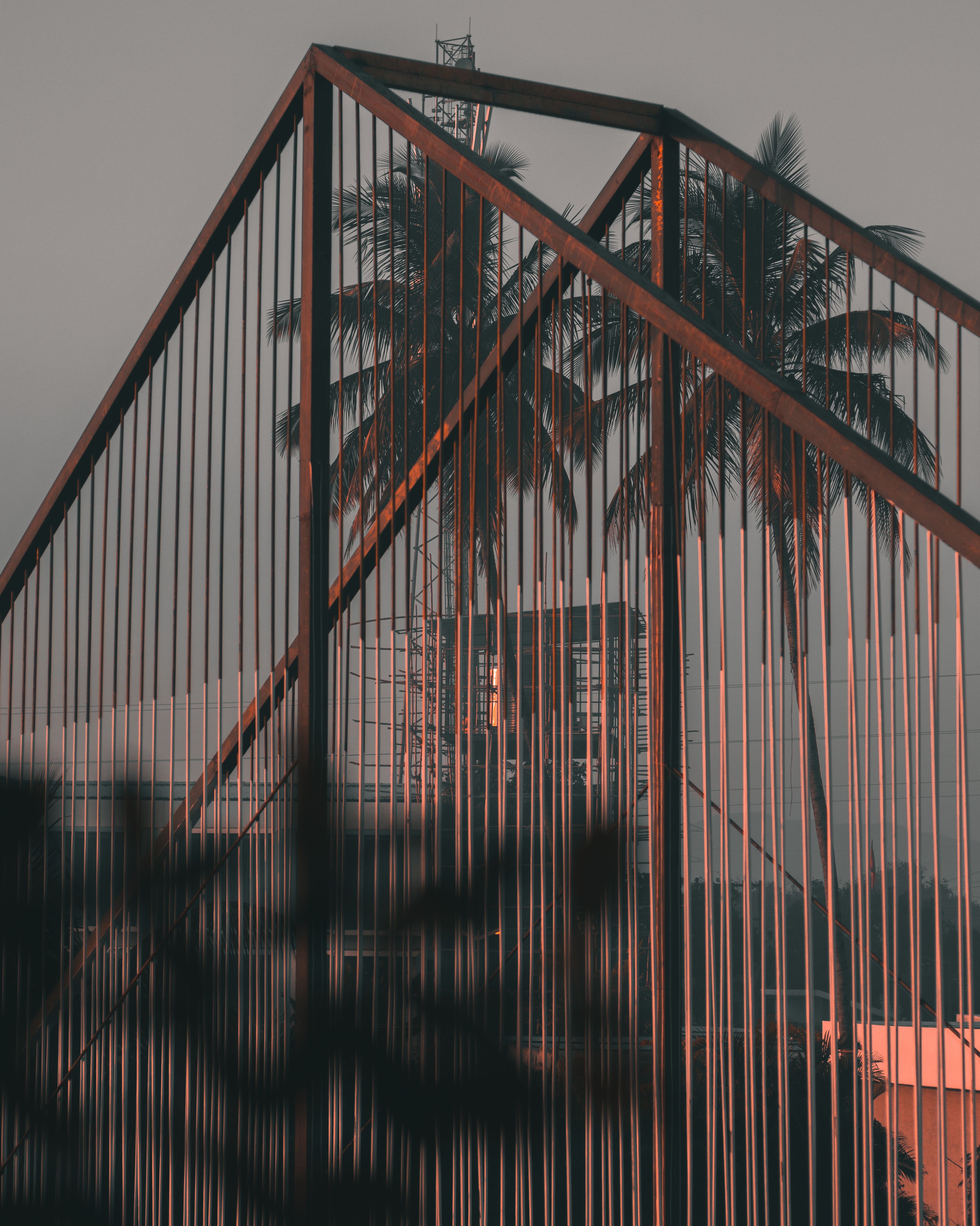 Palm Trees behind Bridge Beams and Bars · Free Stock Photo