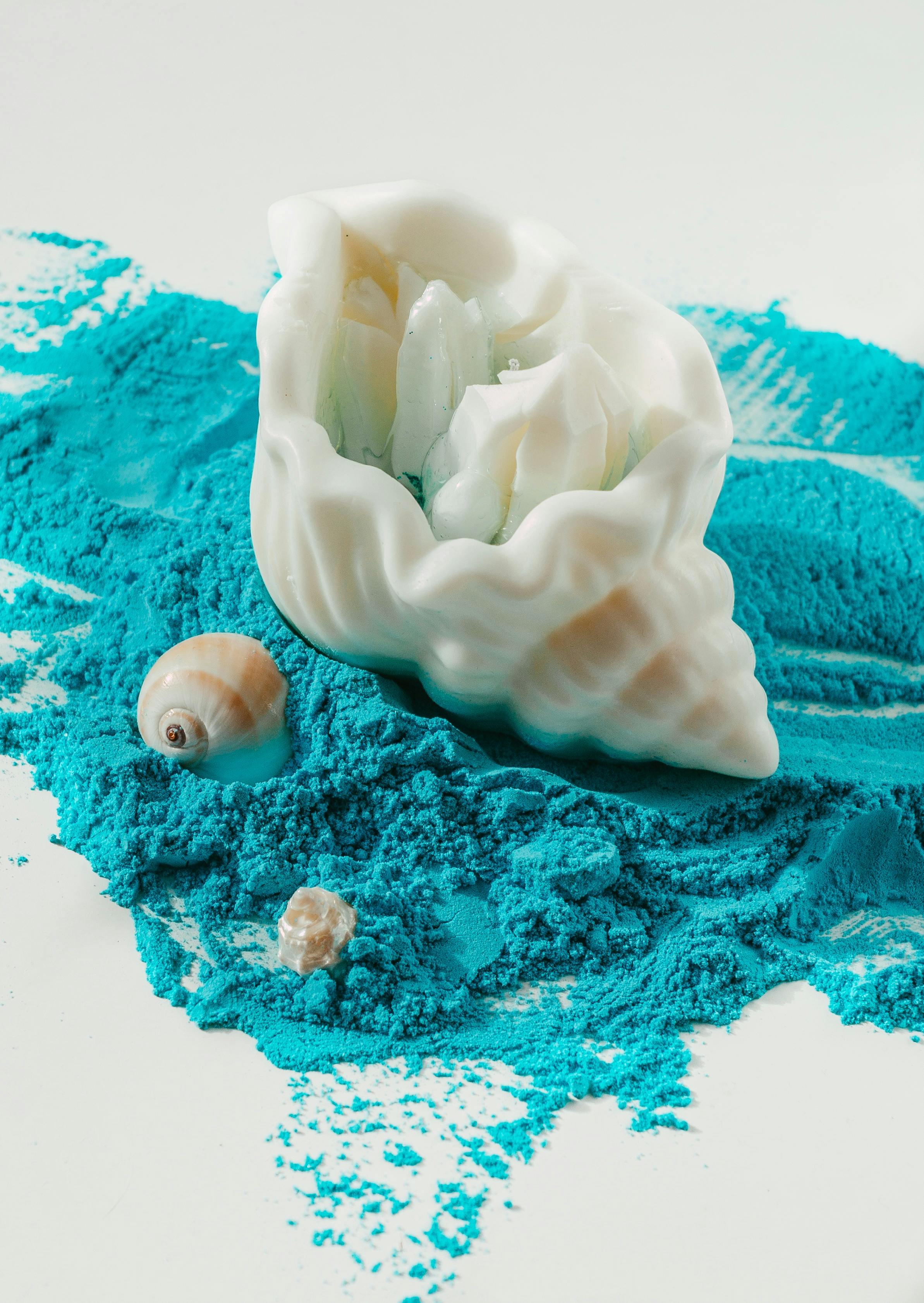 Blue Powder and Seashells · Free Stock Photo
